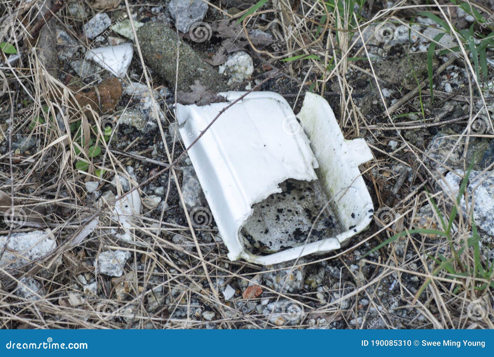 Disposed Dirty Polystyrene Box the Breeding on the Ground for Mosquito ...