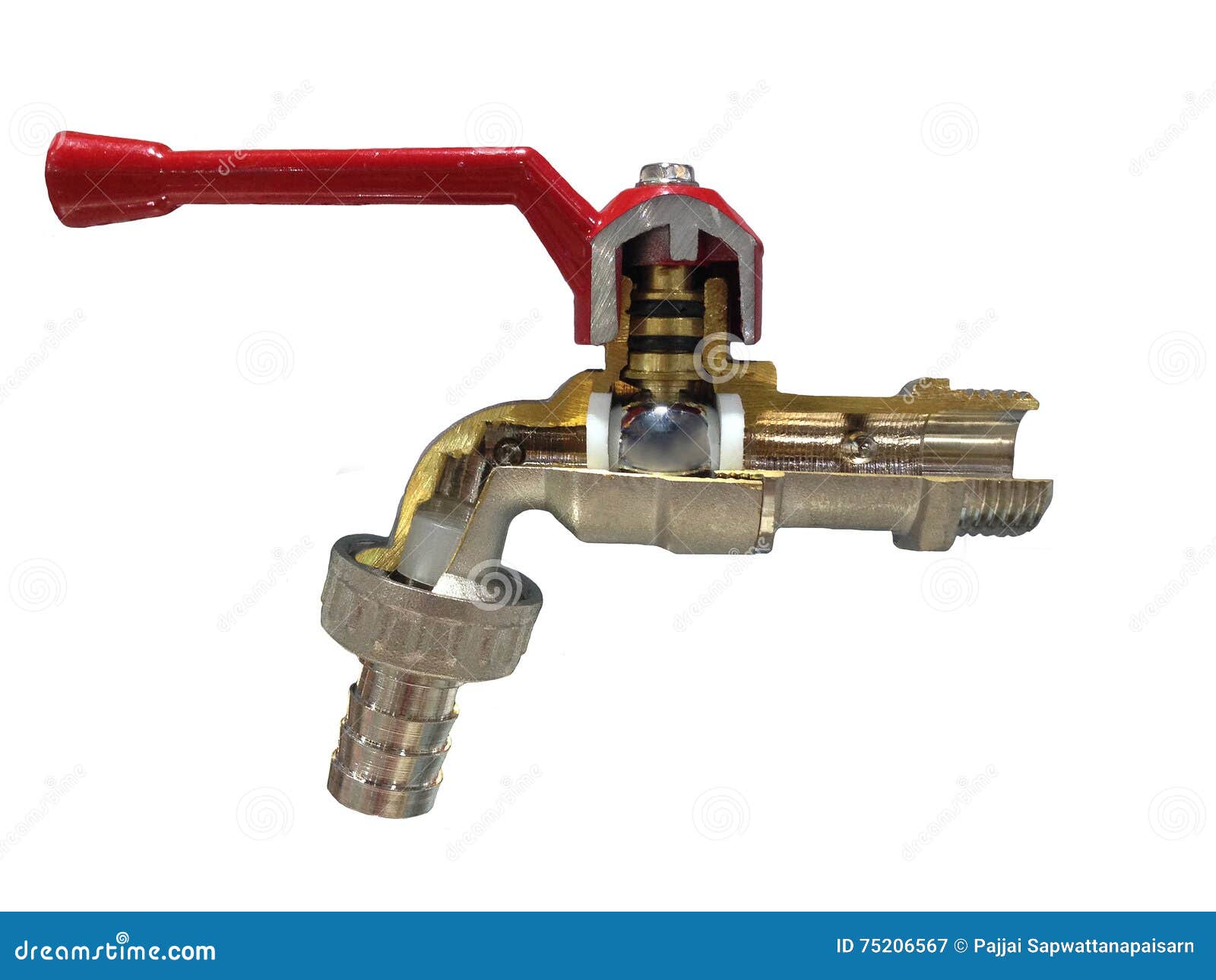The Dissect of Ball Tap with Hose Stock Image - Image of isolated ...
