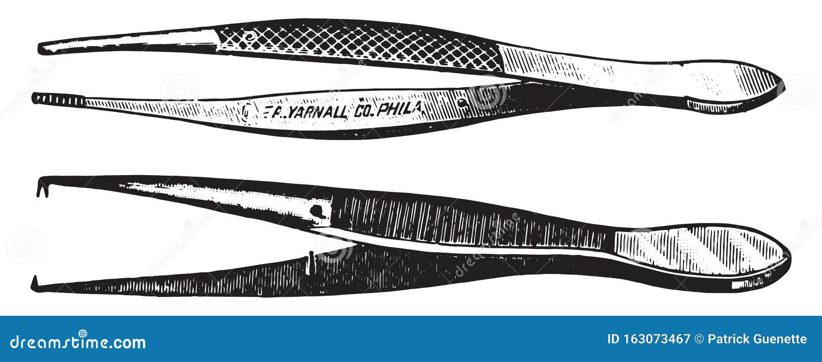 Dissecting Forceps, Vintage Engraving Cartoon Vector | CartoonDealer ...