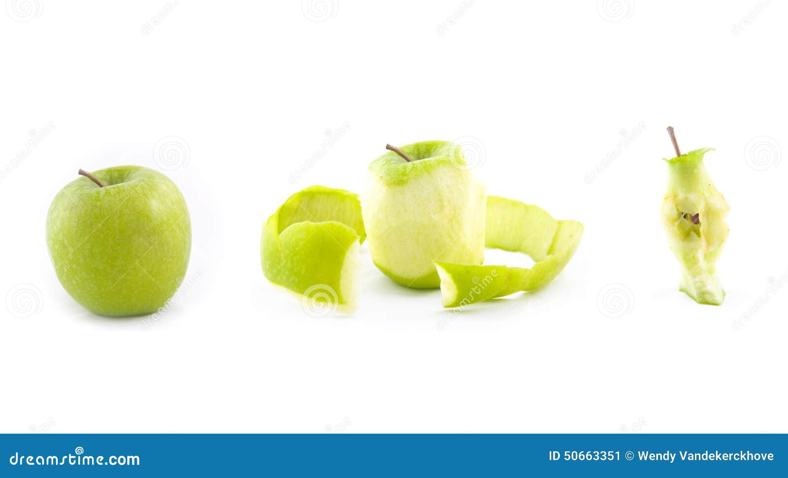 Dissection of an apple stock image. Image of tree, green - 50663351