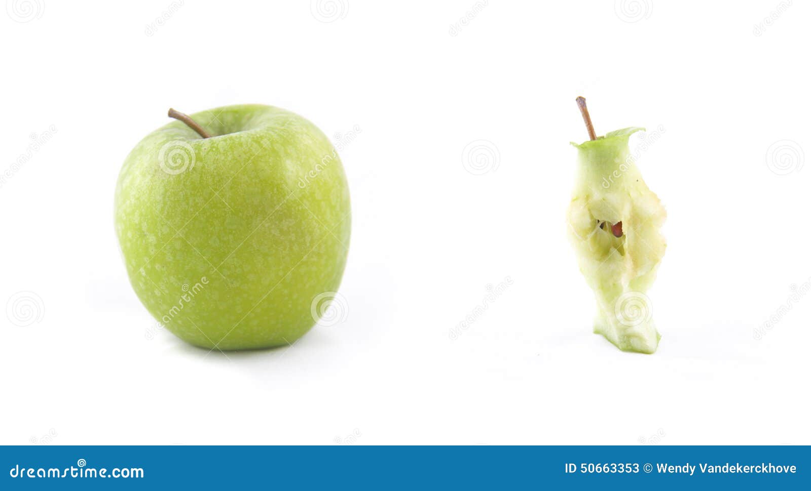 Dissection of an apple stock image. Image of food, green - 50663353