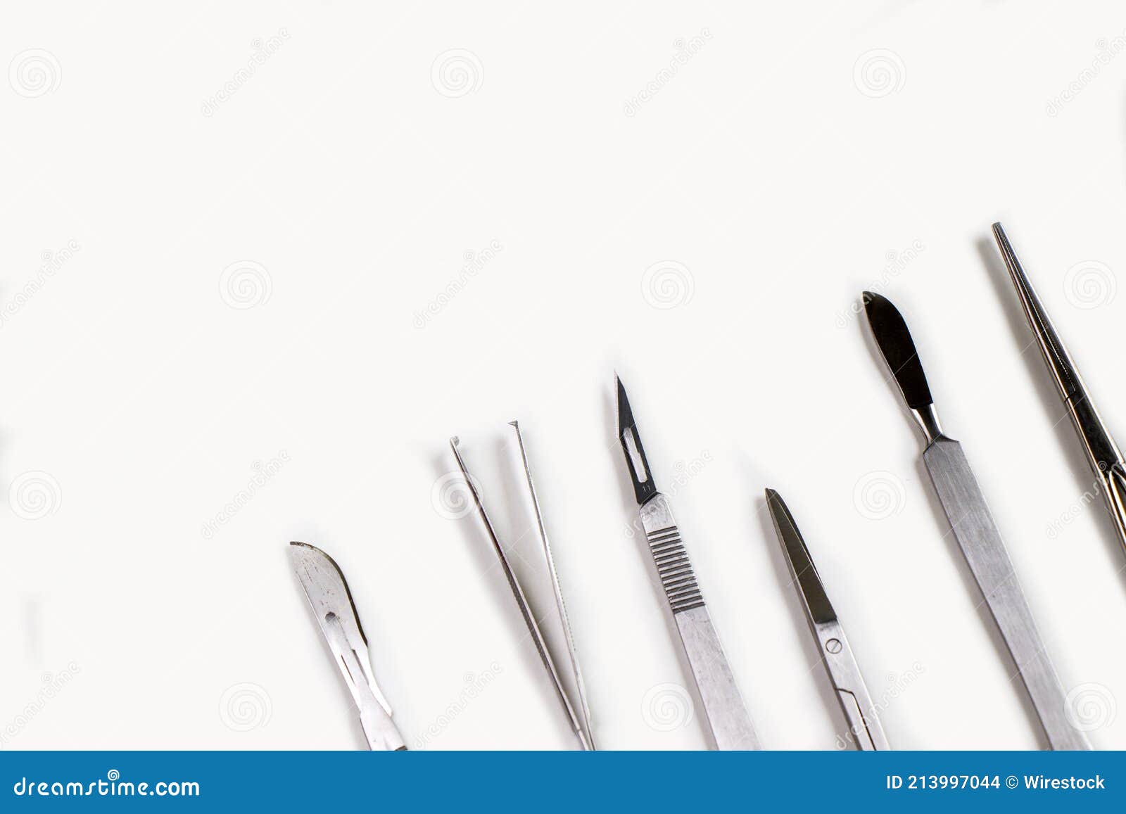 Dissection Kit for Medical Students on White Background Stock Photo ...