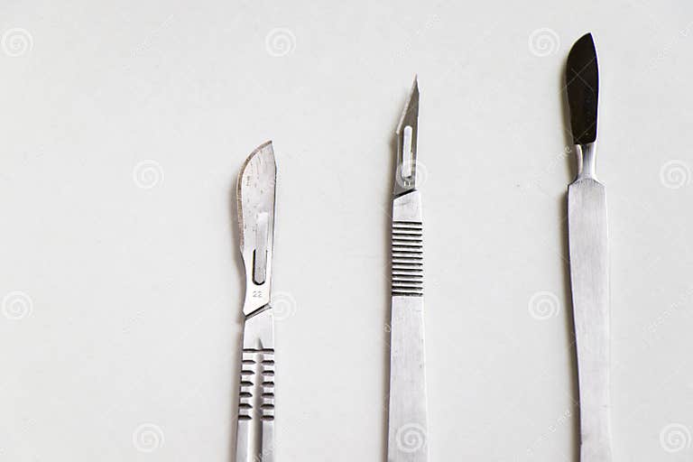 Dissection Kit for Medical Students on White Background Stock Photo ...