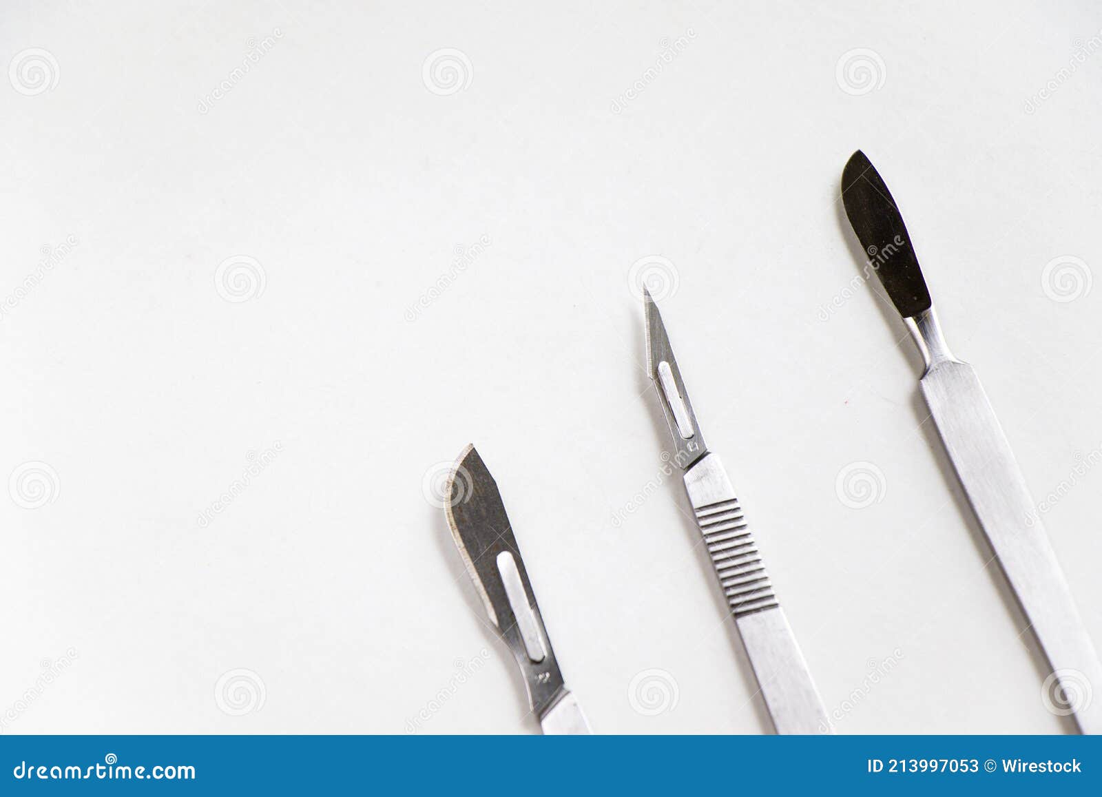 Dissection Kit for Medical Students on White Background Stock Image ...