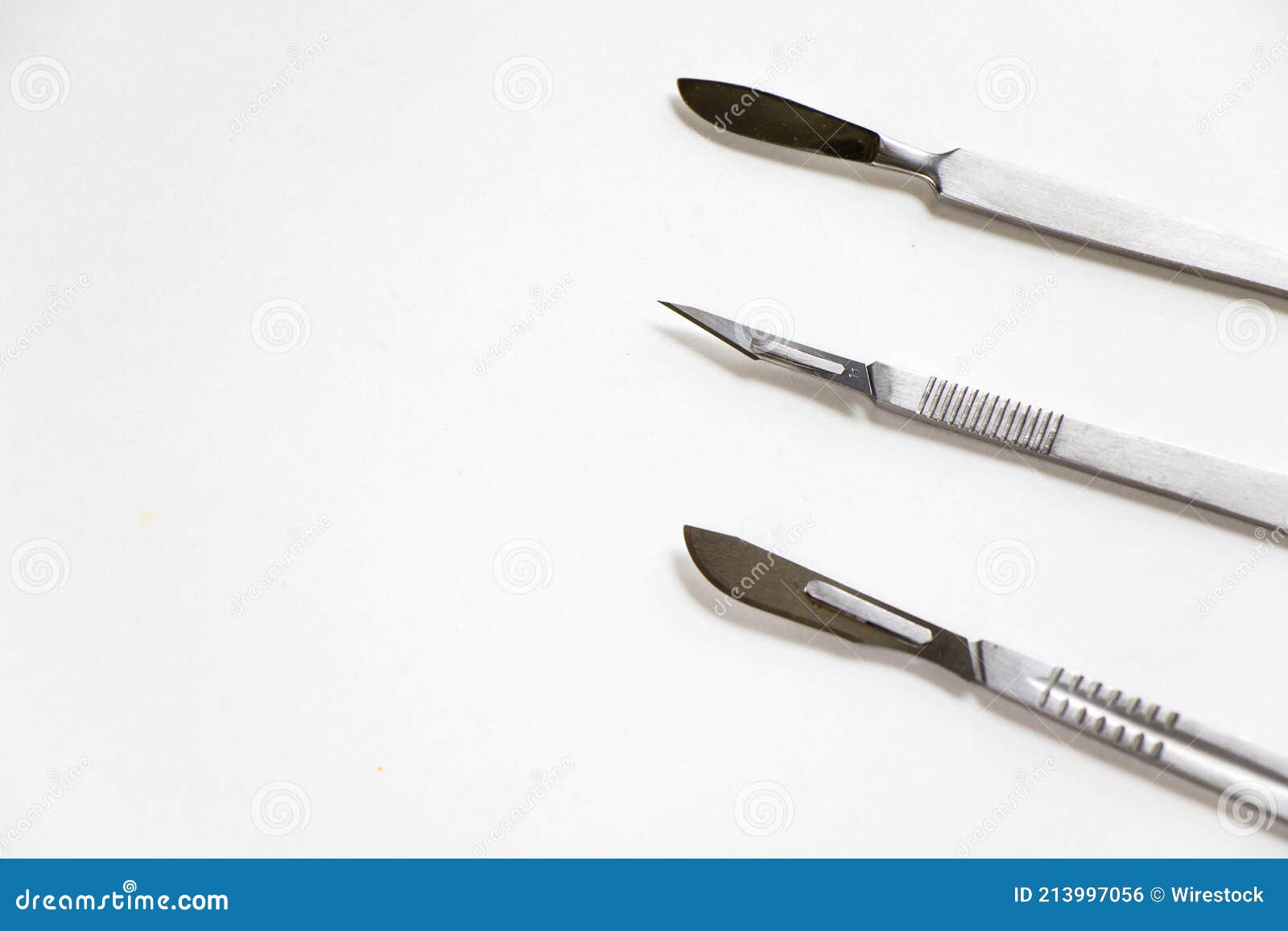 Dissection Kit for Medical Students on White Background Stock Photo ...