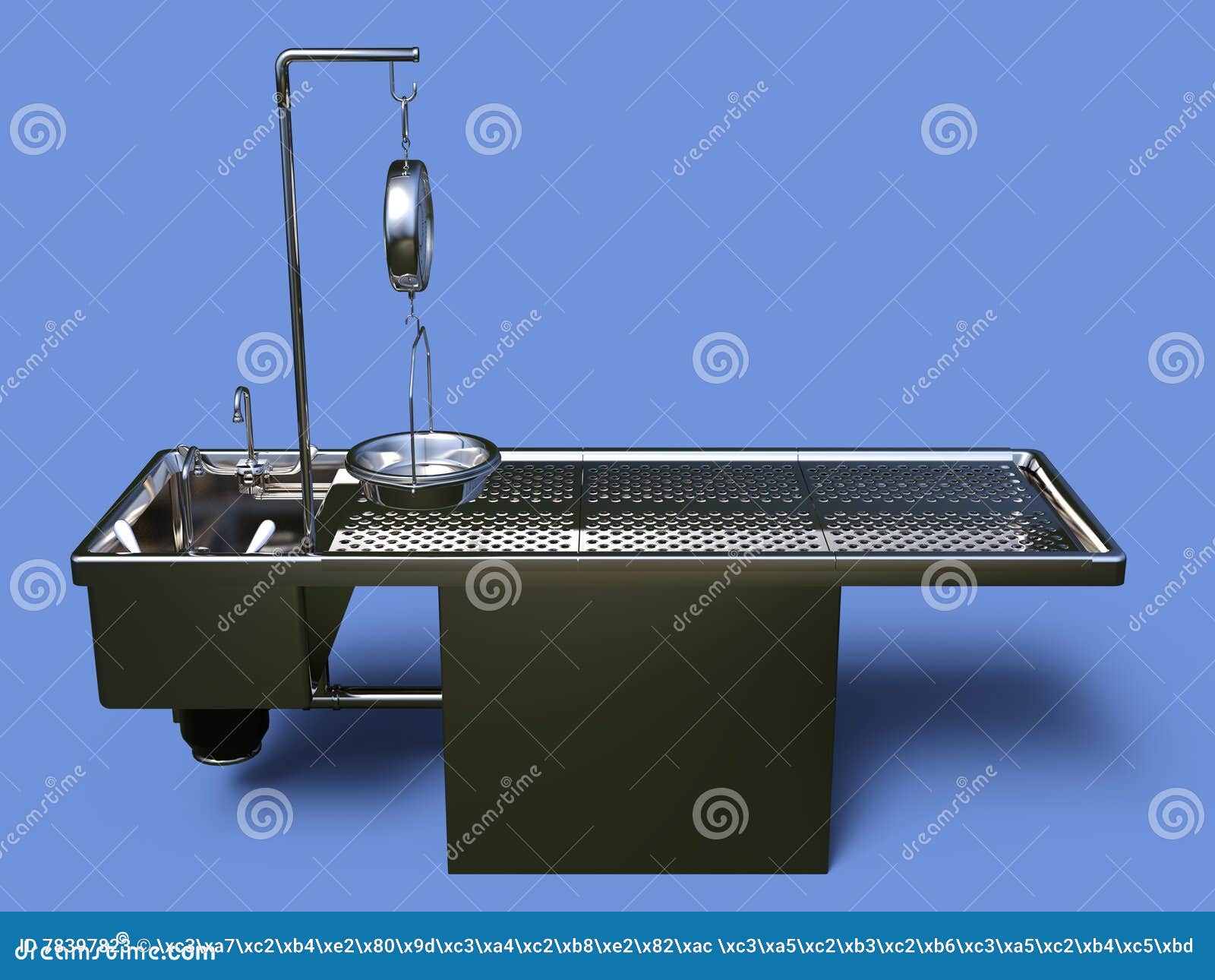 Dissection stand stock image. Image of stand, body, dissection - 78397823