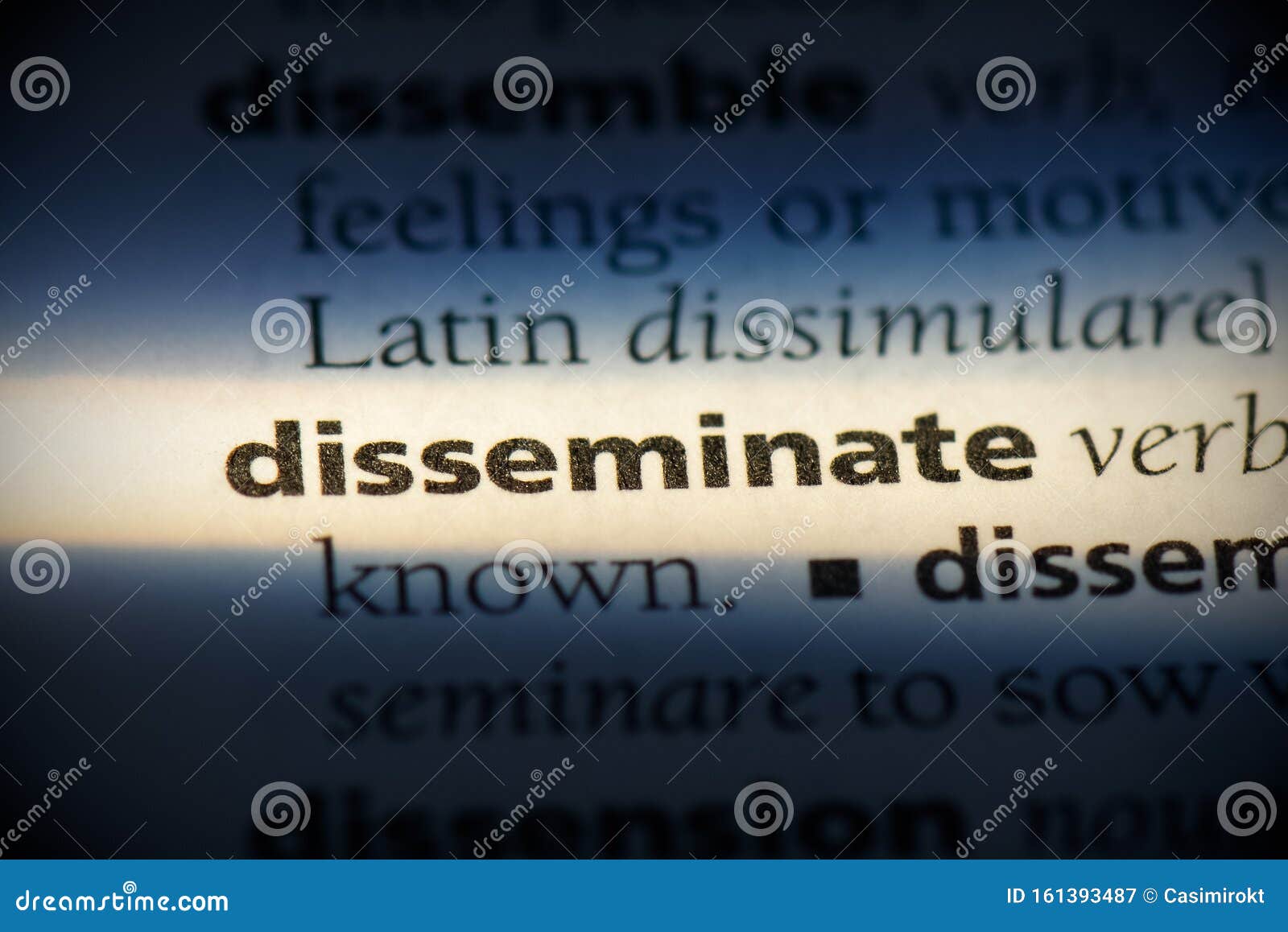 Disseminate stock image. Image of language, idea, reference - 161393487
