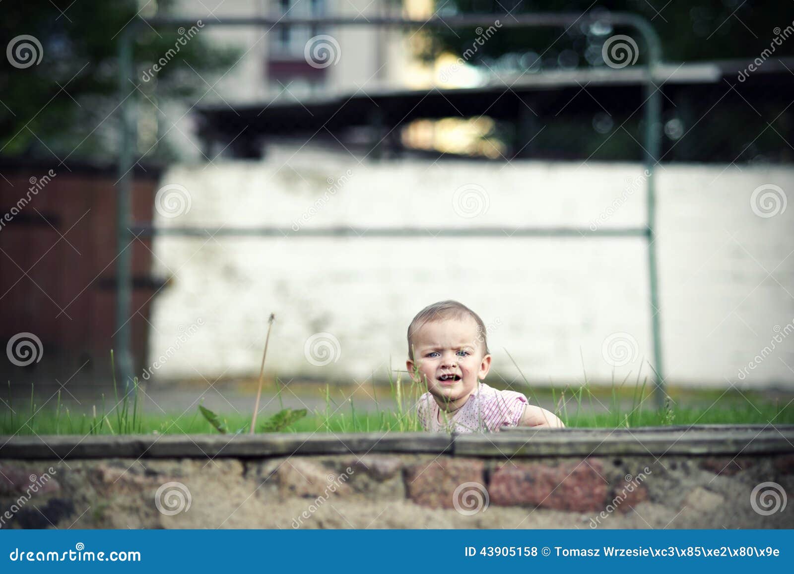 Dissimulation De Petite Fille Photo stock - Image du dissimulation ...