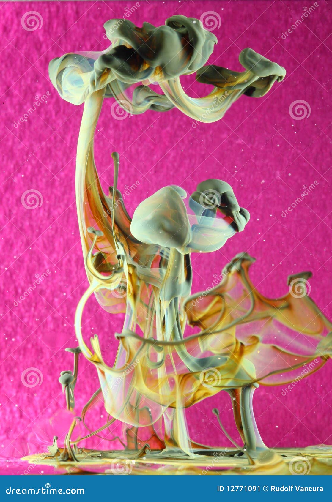 837 Dissolving Nature Stock Photos - Free & Royalty-Free Stock Photos ...