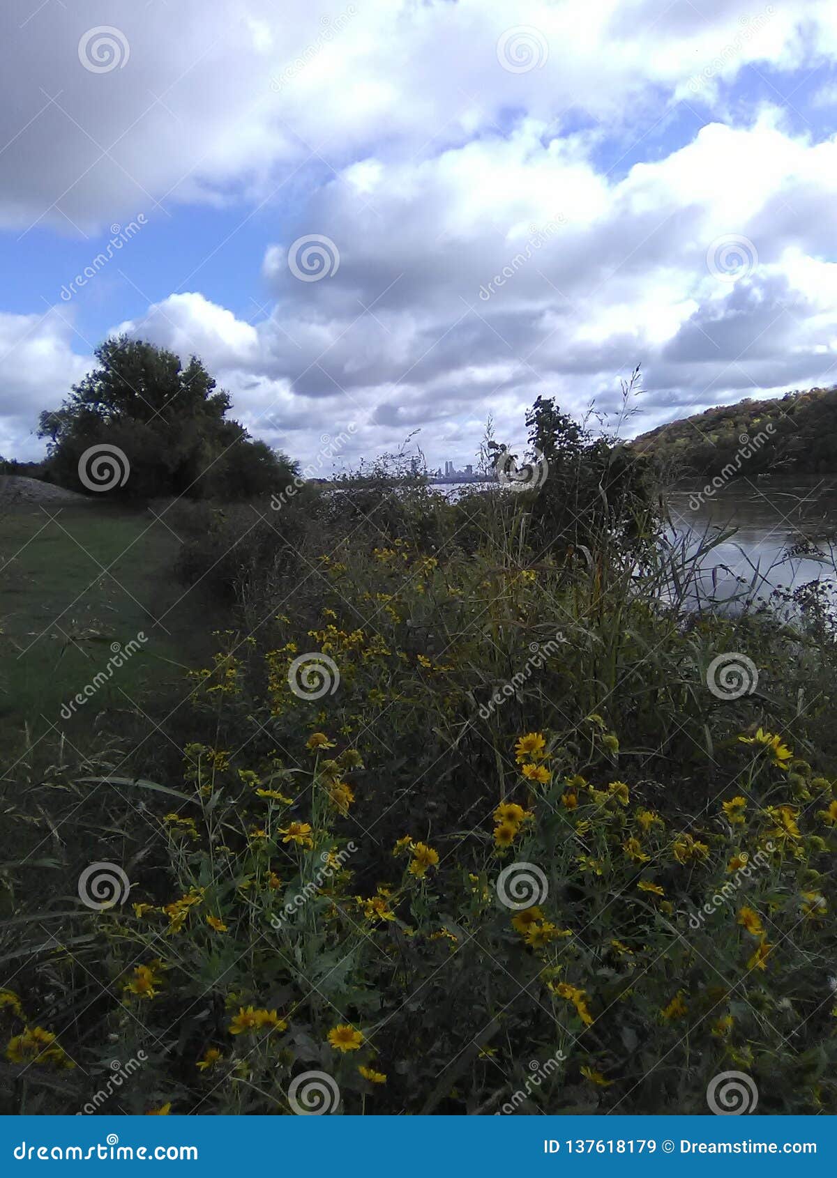 Distance clouds dreamy stock image. Image of distance - 137618179