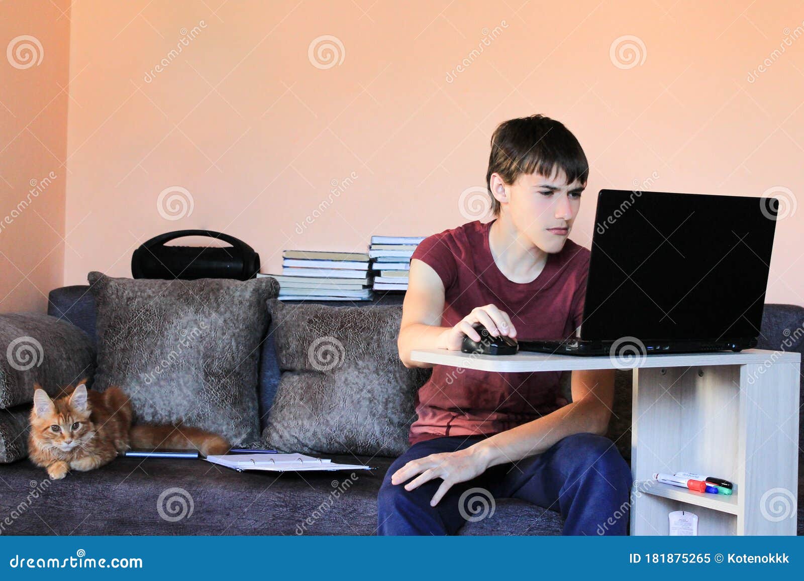 Distance Education, Study at Home and Pets Using a Laptop, Computer and ...