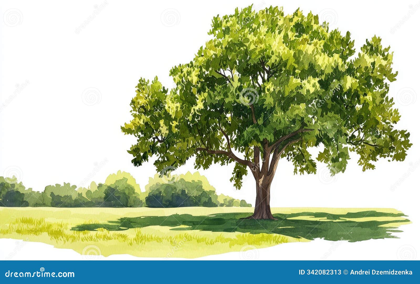 In the Distance is an Ombre Tree with Green Leaves on a White ...