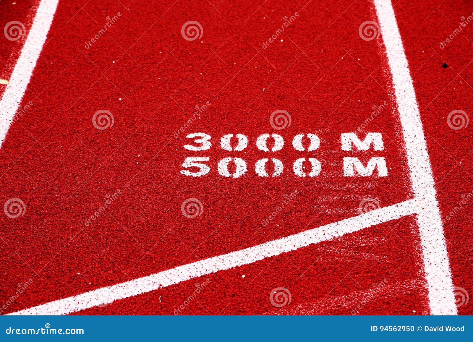 Distance race start line stock photo. Image of steeplechase - 94562950