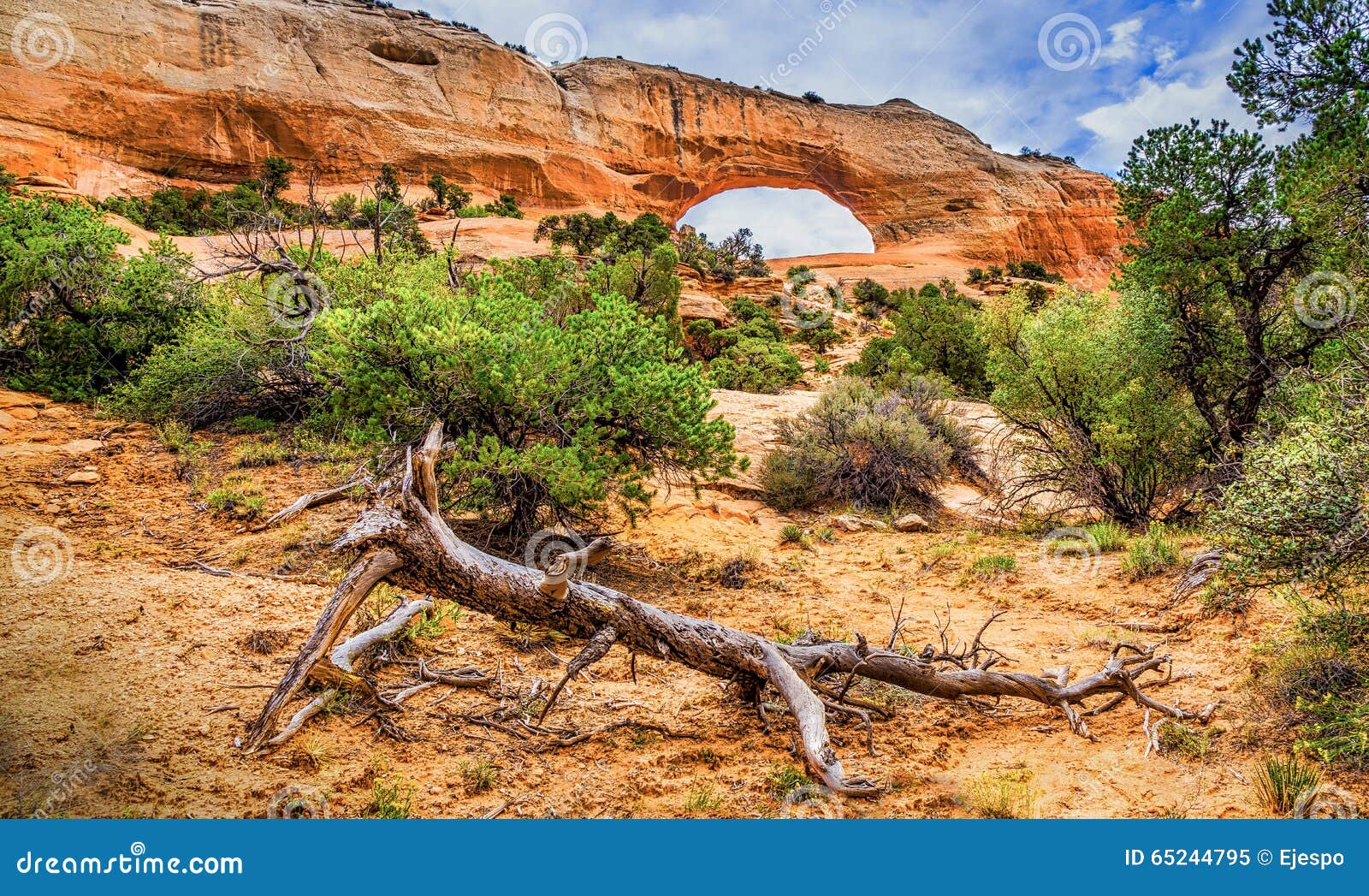 Distant Arch stock image. Image of buch, alone, arches - 65244795