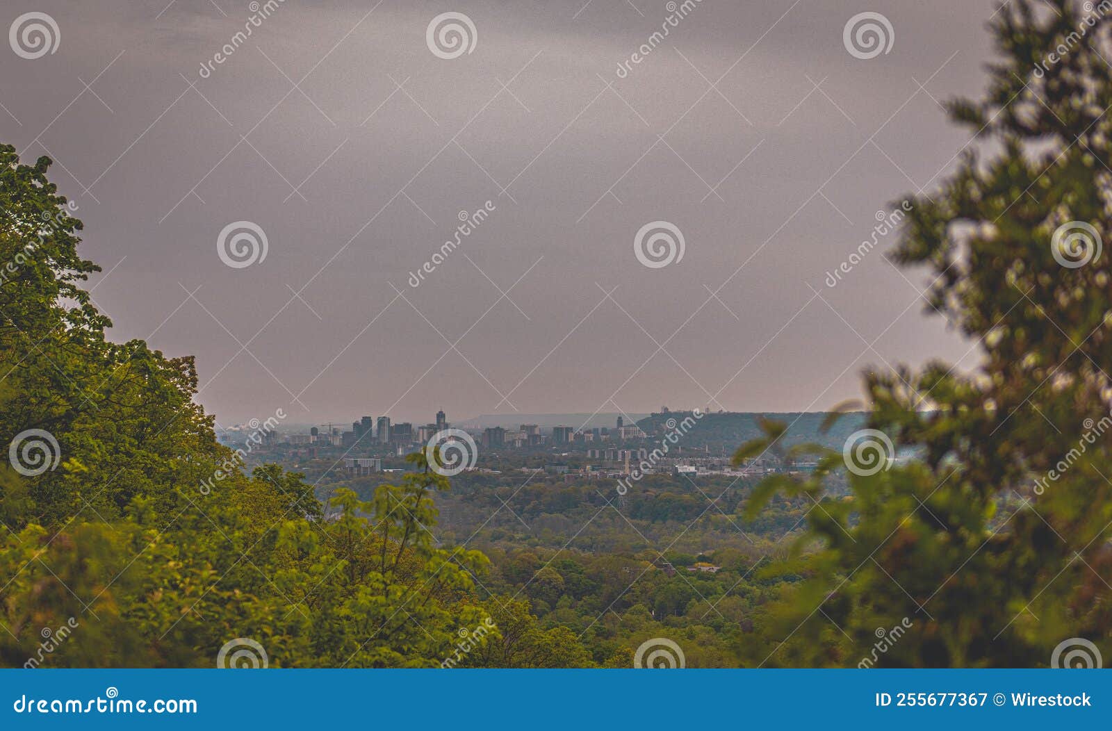 Distant Cityscape Captured through Trees in the Evening Stock Image ...