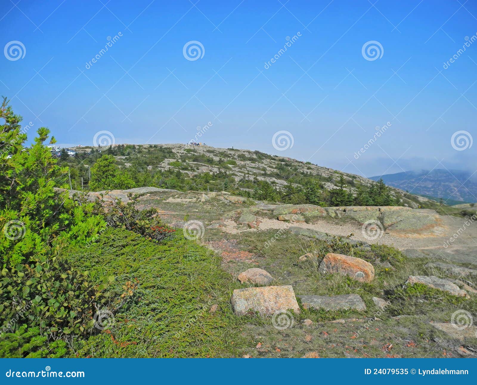 Distant Crowd on Cadillac Mountain Stock Image - Image of cadillac ...