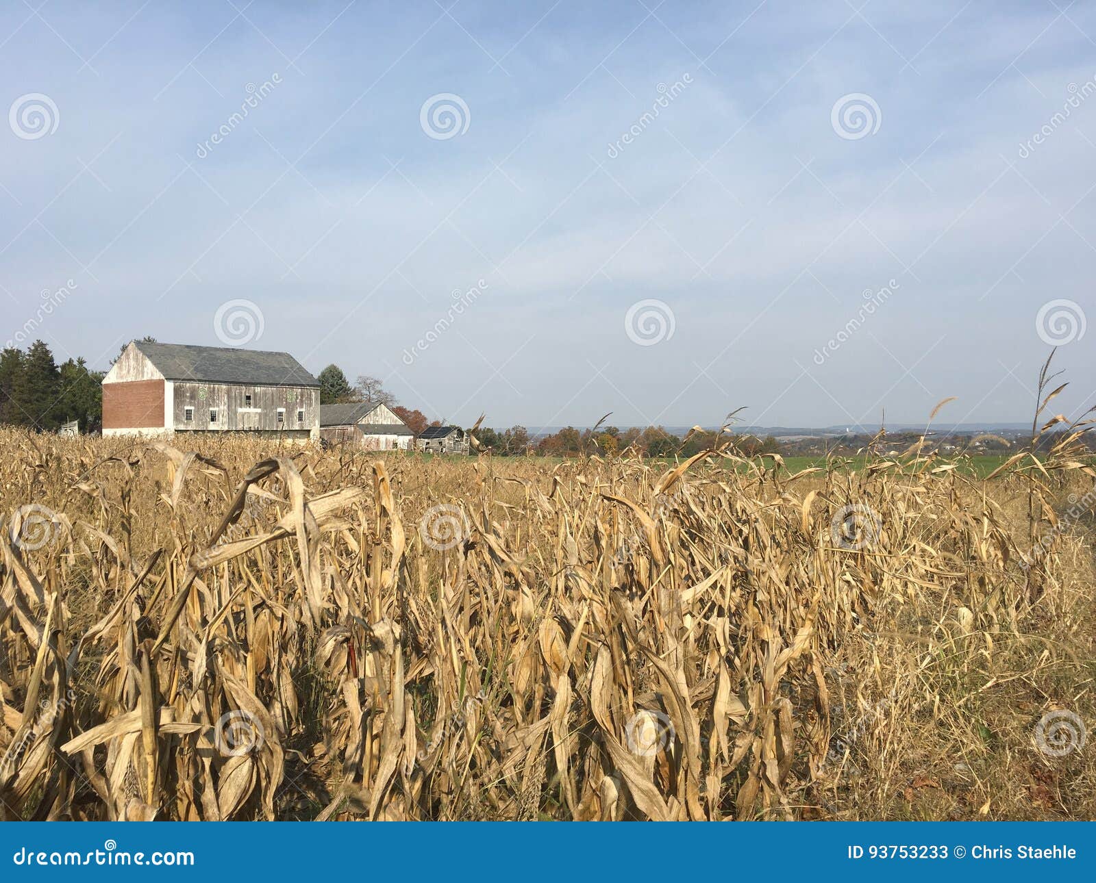Distant farm stock image. Image of farm, cornfield, distant - 93753233