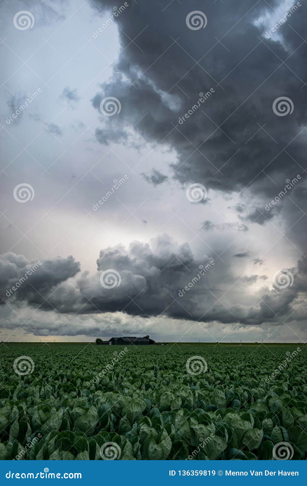 Distant Farm Under a Dramatic Sky Over the Dutch Countryside. Stock ...