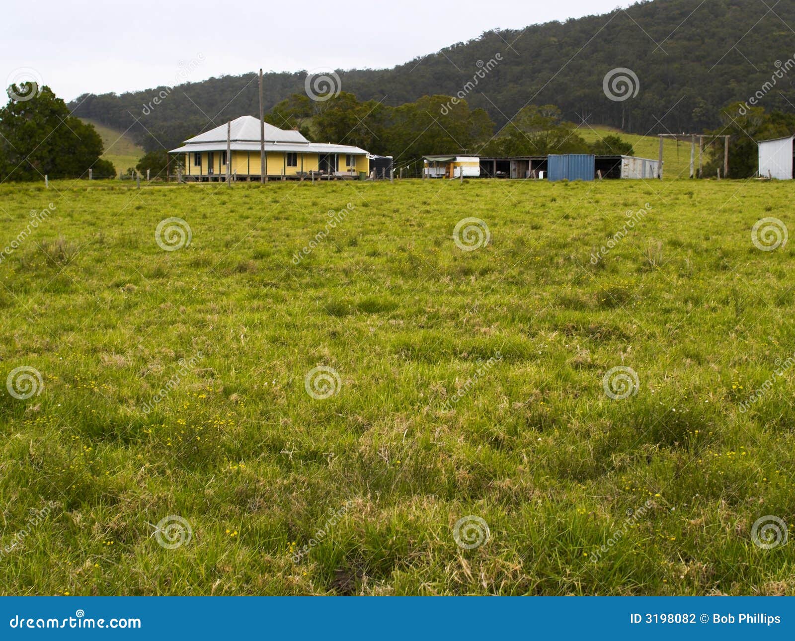 Distant farmhouse stock photo. Image of pasture, farm - 3198082