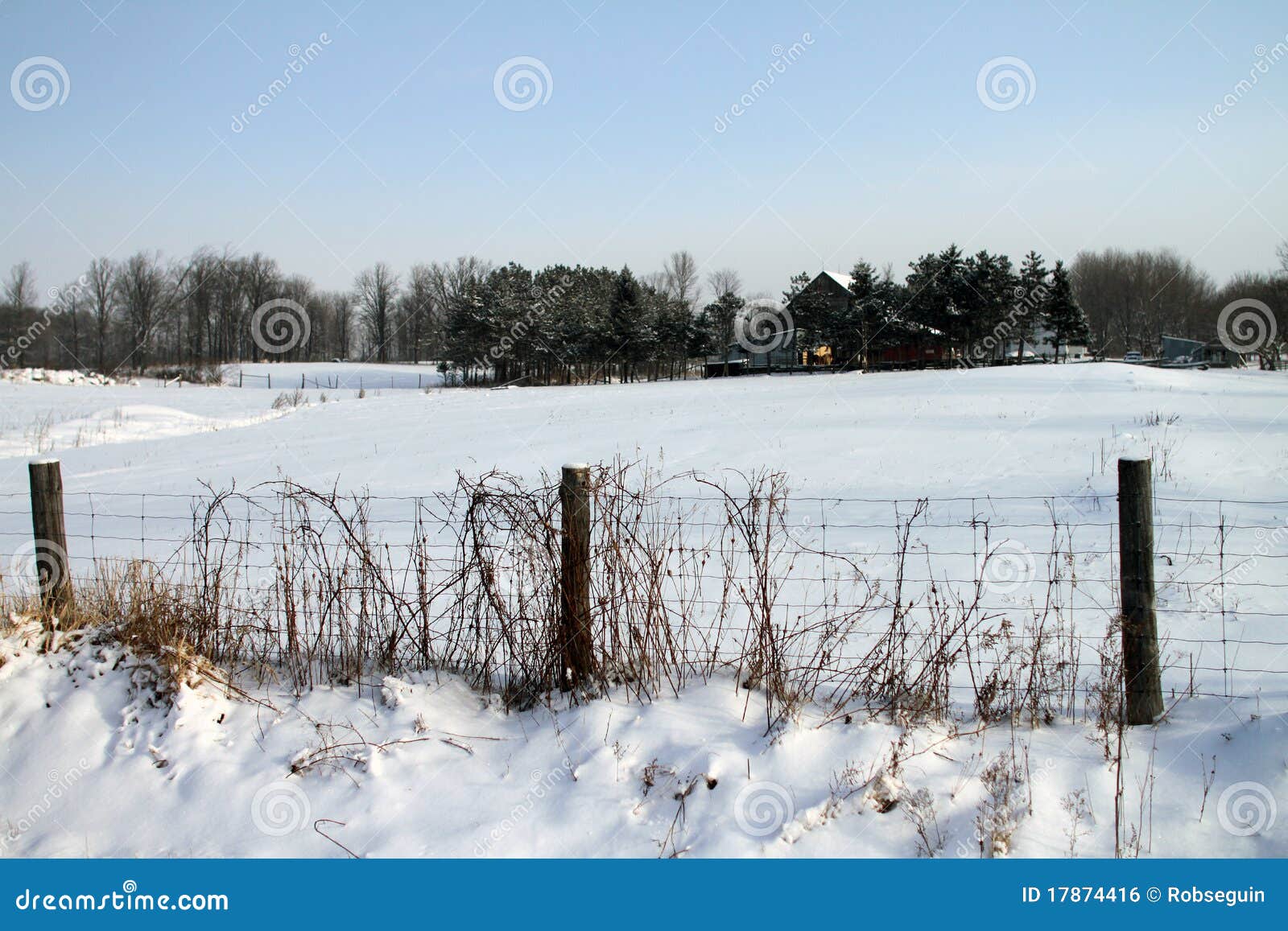 Distant Farmhouse in the Winter Stock Photo - Image of evergreens ...