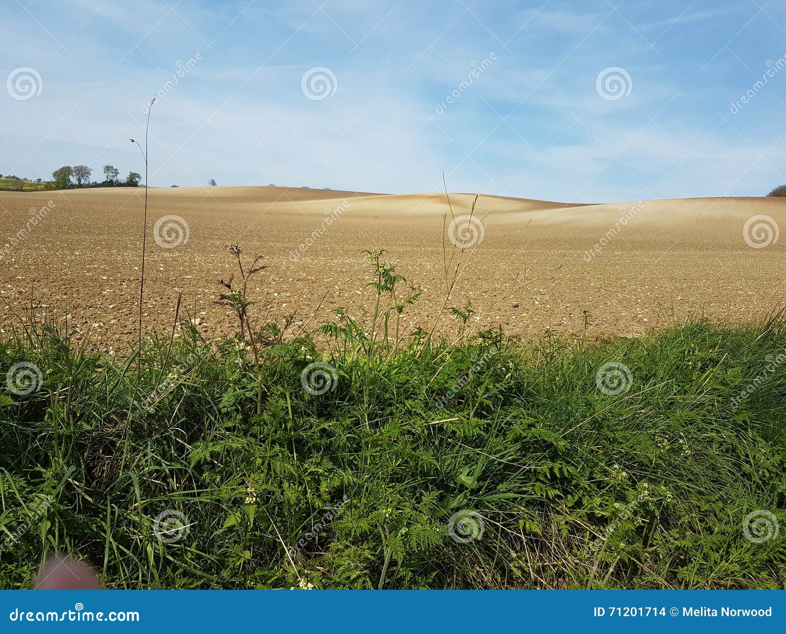 Distant fields stock photo. Image of fields, distant - 71201714