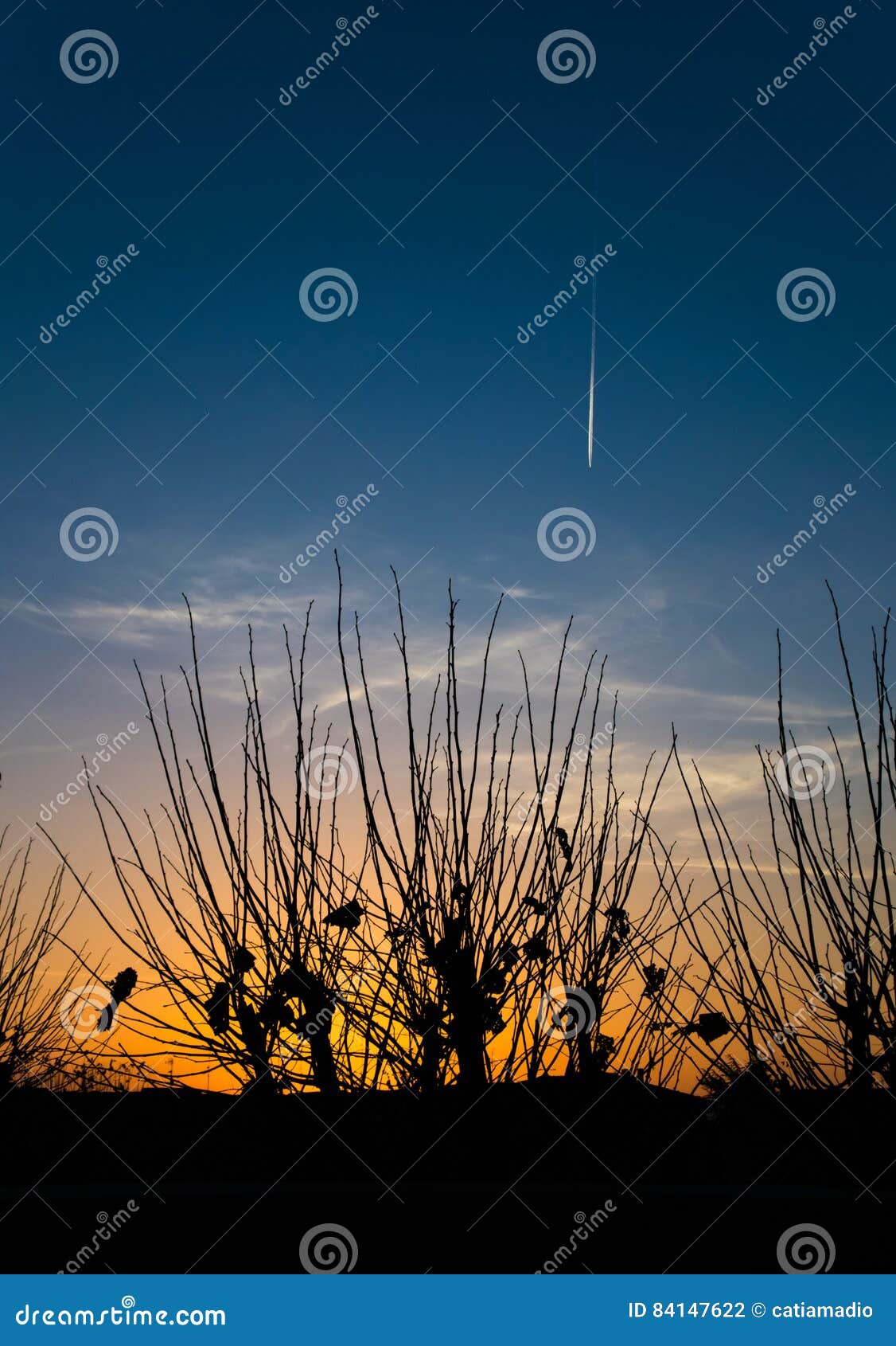 Distant flight stock photo. Image of bright, fantasy - 84147622