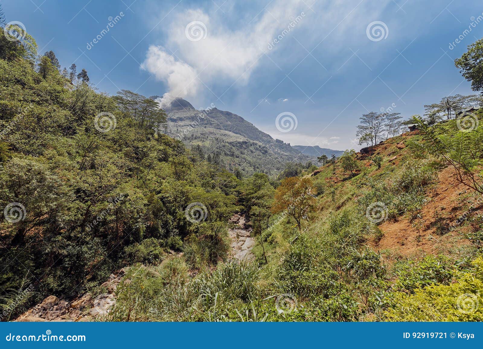 Distant Forest Fire in Forests of Sri Lanka Stock Image - Image of asia ...
