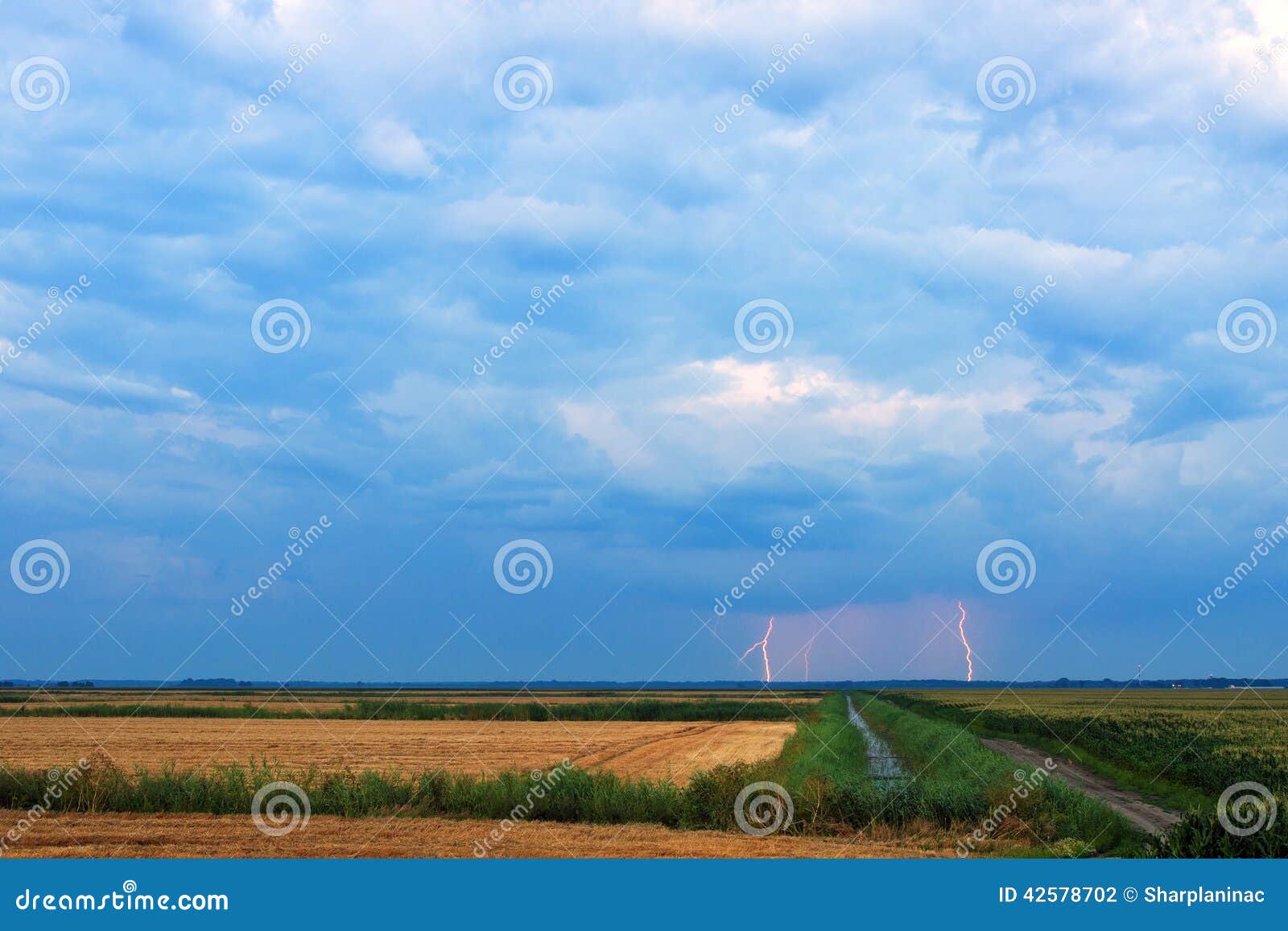 Distant Lightning Strikes Over Field Stock Photo - Image of background ...