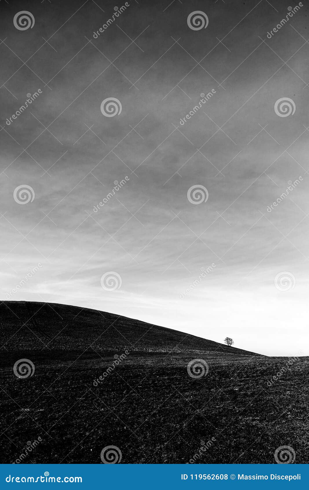 A Distant, Lonely Tree on a Bare Hill, Beneath a Big Sky with White ...