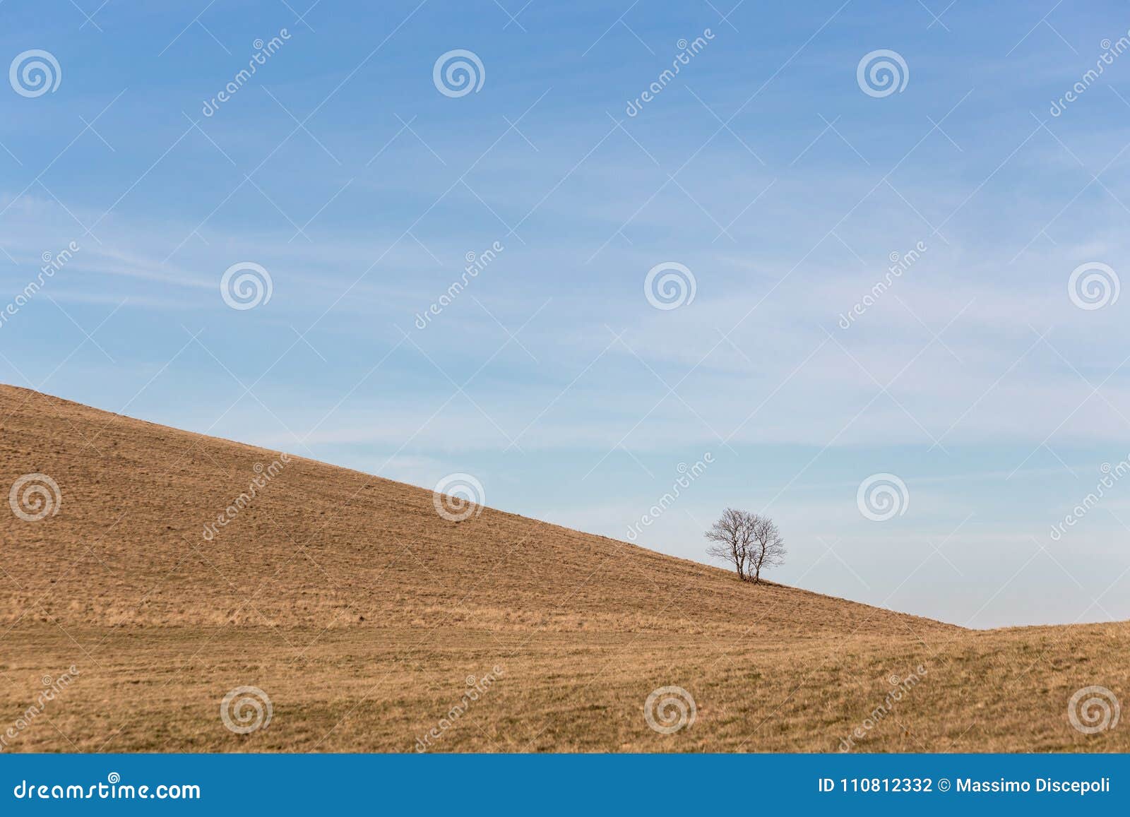 A Distant, Loney Tree on a Bare Hill, Beneath a Blue Sky with White ...