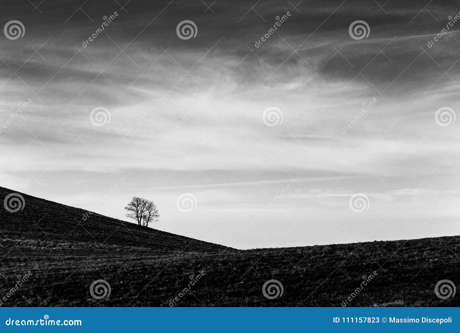 A Distant, Loney Tree on a Bare Hill, Beneath a Deep Sky with White ...