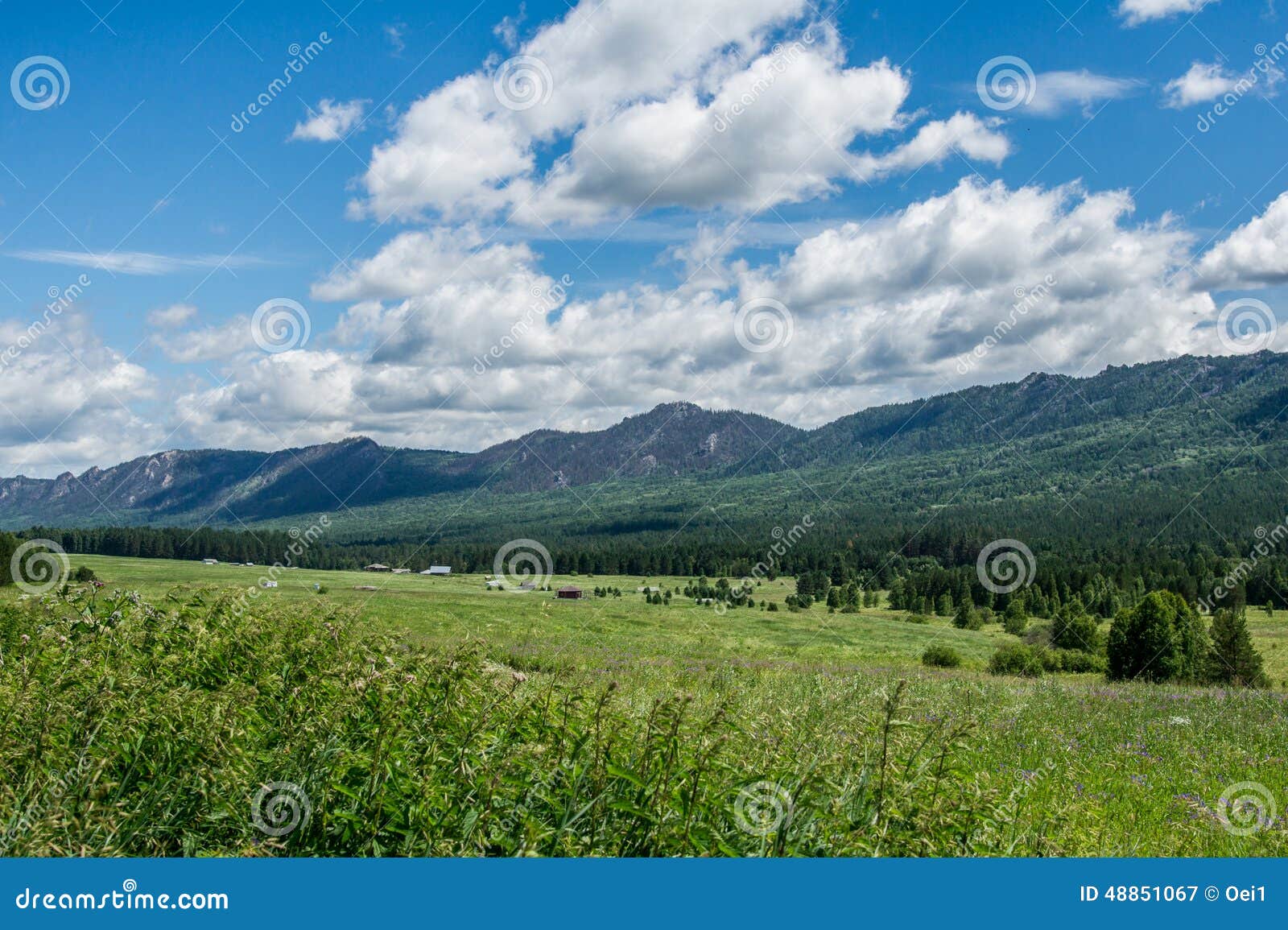 Distant Mountains Rise Above the Wild Forest Stock Image - Image of ...