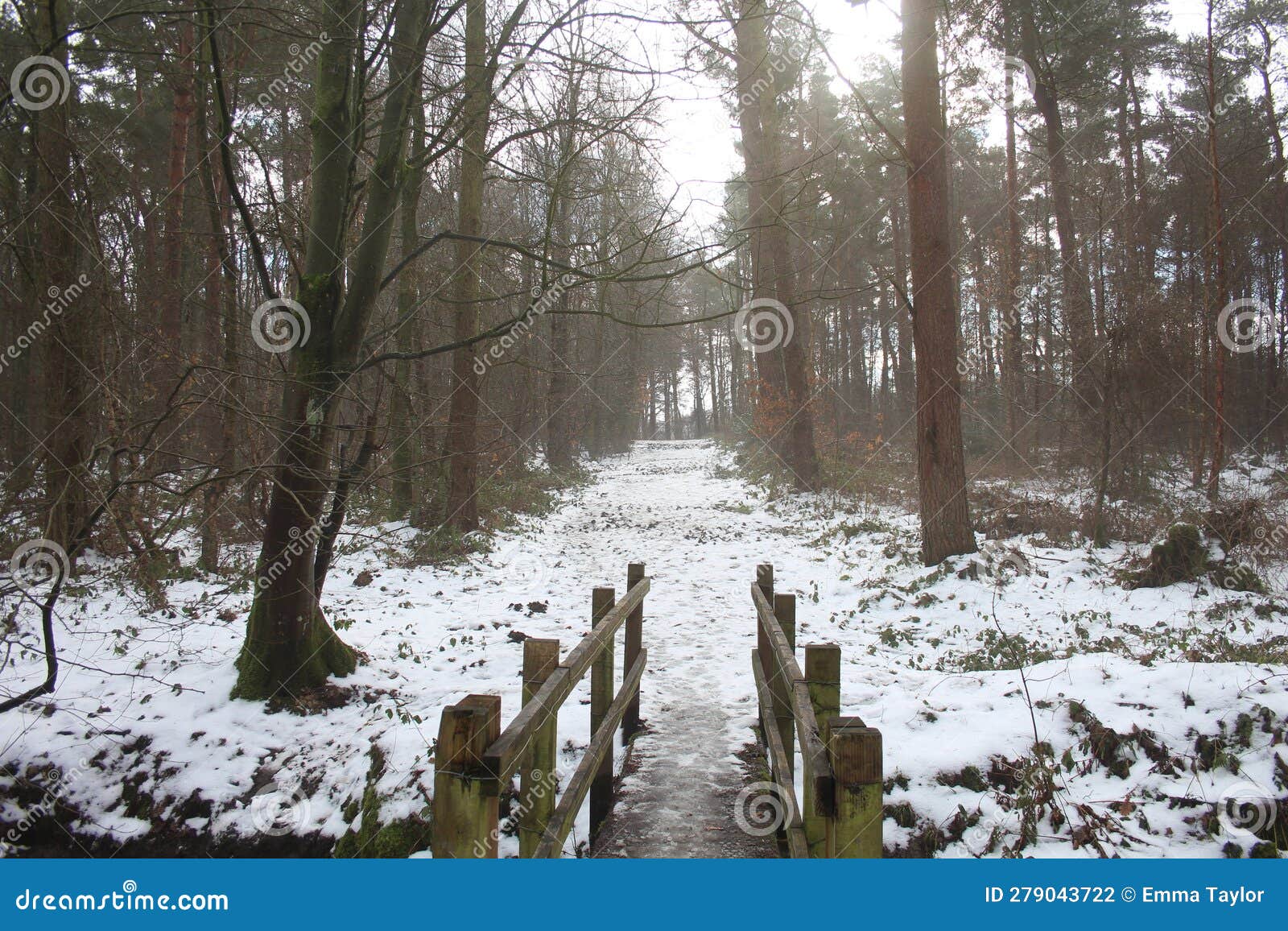 Distant path through snow stock photo. Image of brige - 279043722
