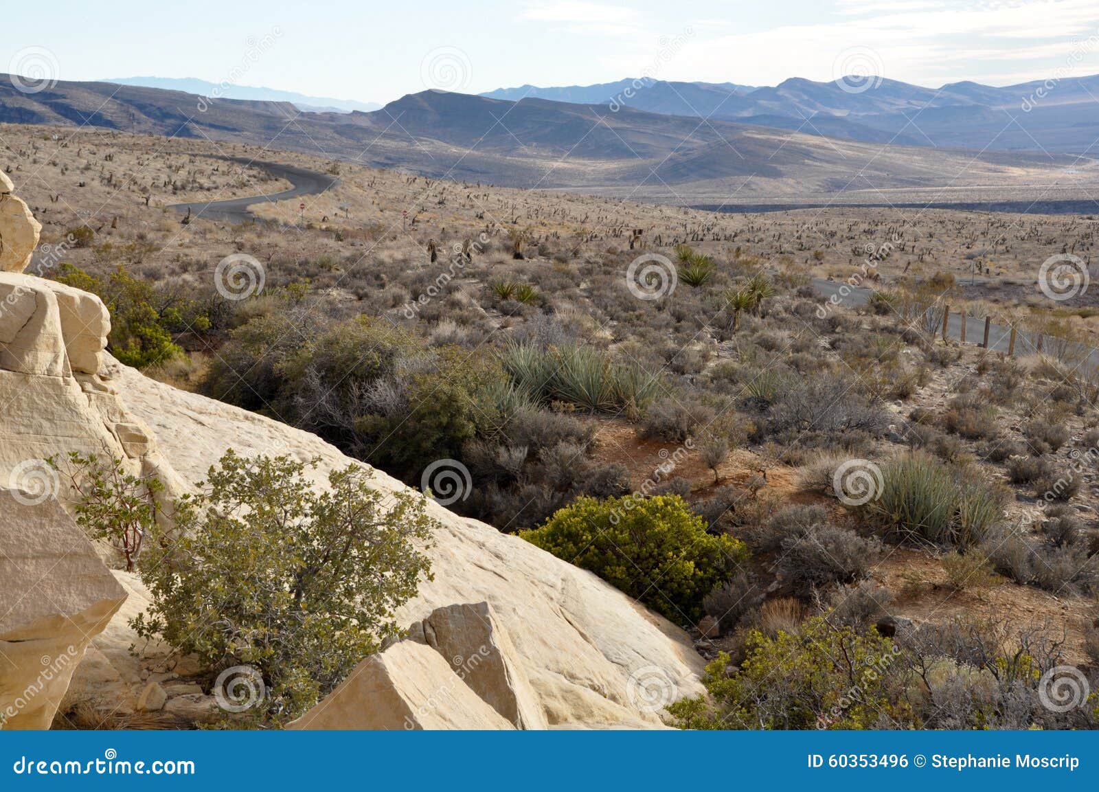 Distant Road Going through Desert Stock Photo - Image of distant, alone ...