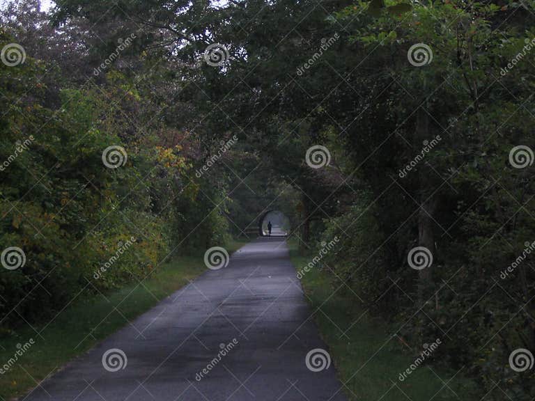 Distant Runner Tunnel Cape Cod Rail Trail Stock Photo - Image of fall ...