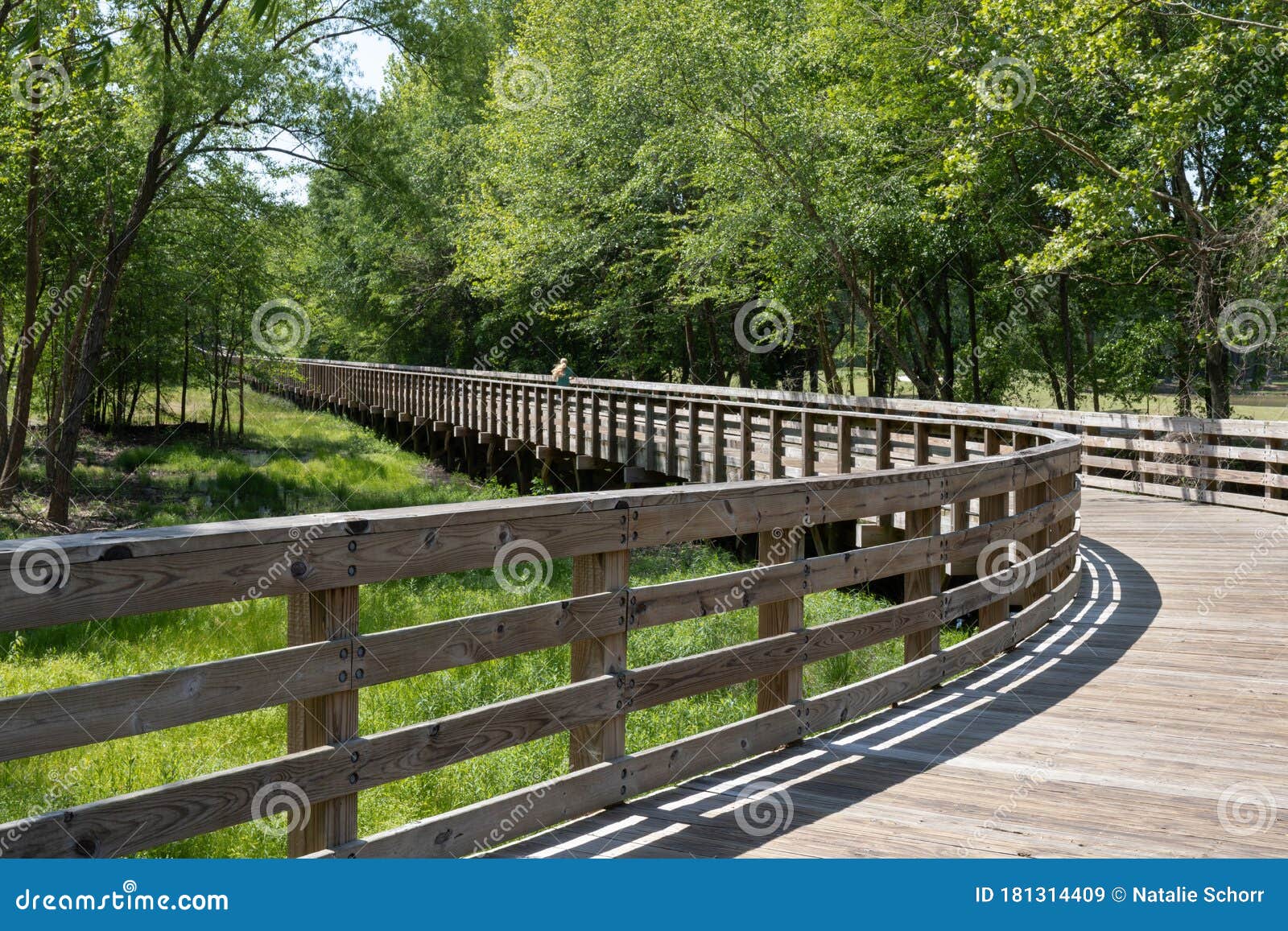 Elevated Boardwalk In Public Recreation Area, Walking Or Biking Path ...