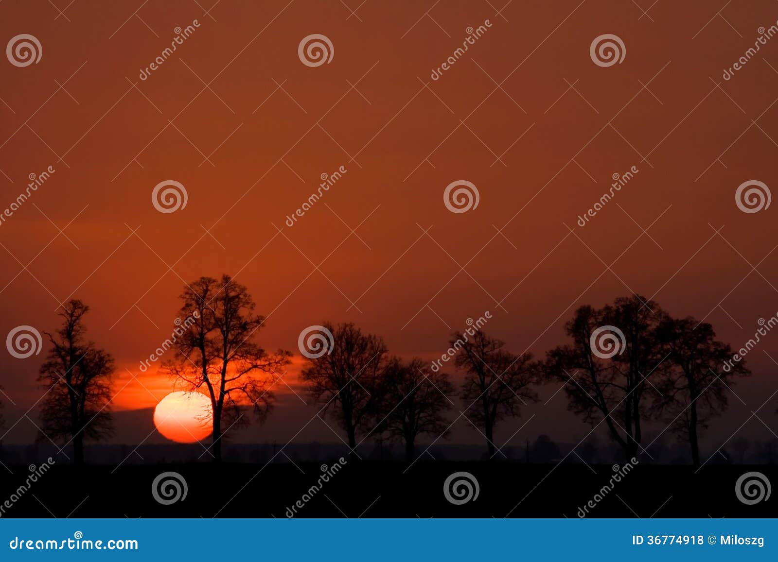Distant sunset over field stock photo. Image of beauty - 36774918