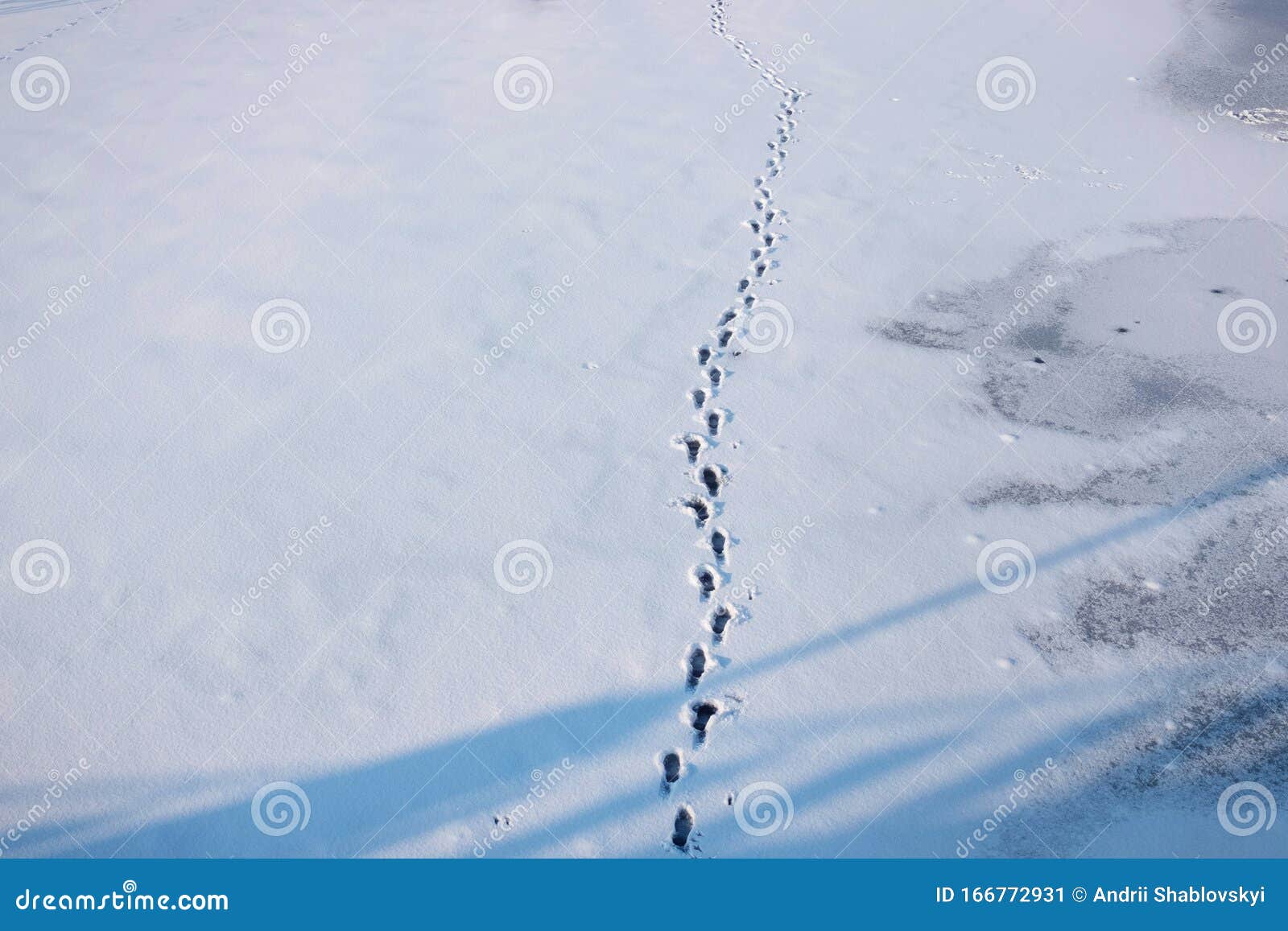 Distant Traces in the Snow. Human Footprints Stock Image - Image of ...