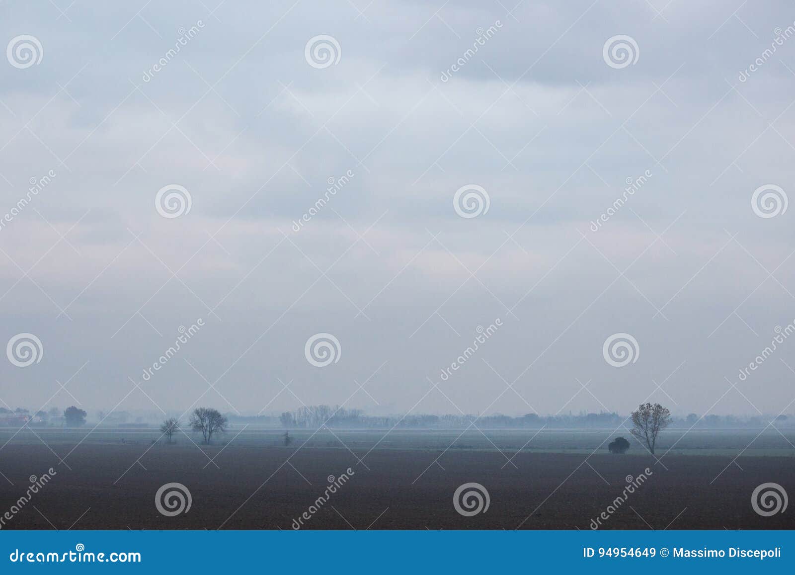 Distant trees in the fog stock image. Image of clouds - 94954649