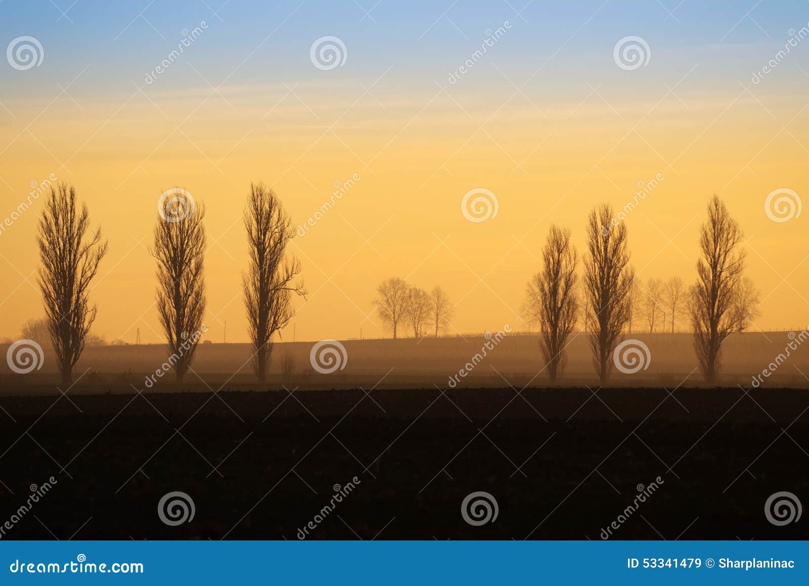 Distant Trees Silhouettes at Sunrise Stock Image - Image of autumn ...