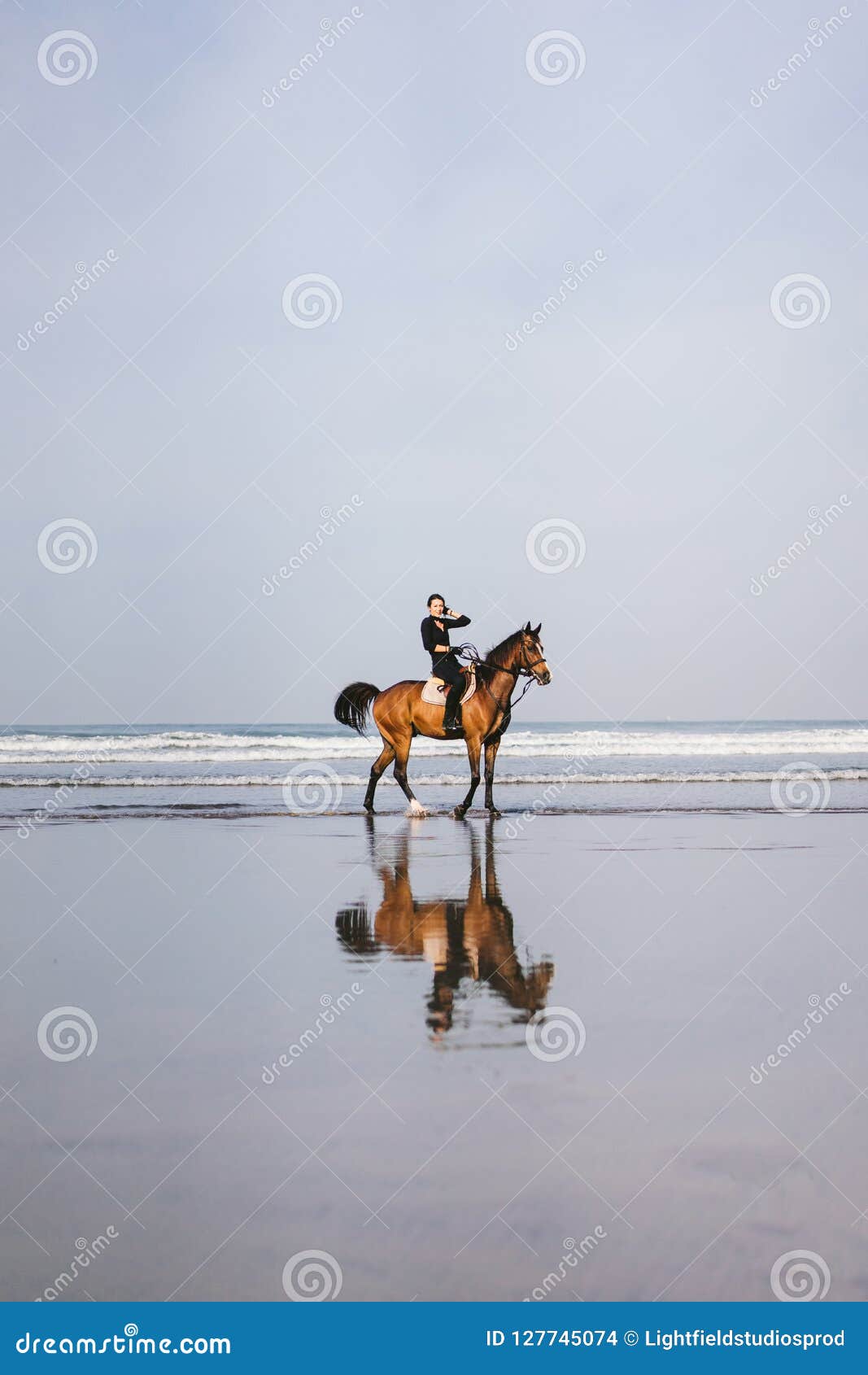 Distant View of Female Equestrian Riding Horse Stock Photo - Image of ...