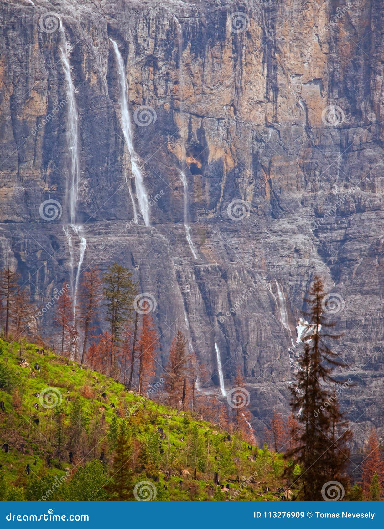 Distant Waterfalls on a Cliff with Trees in the Foreground Stock Image ...