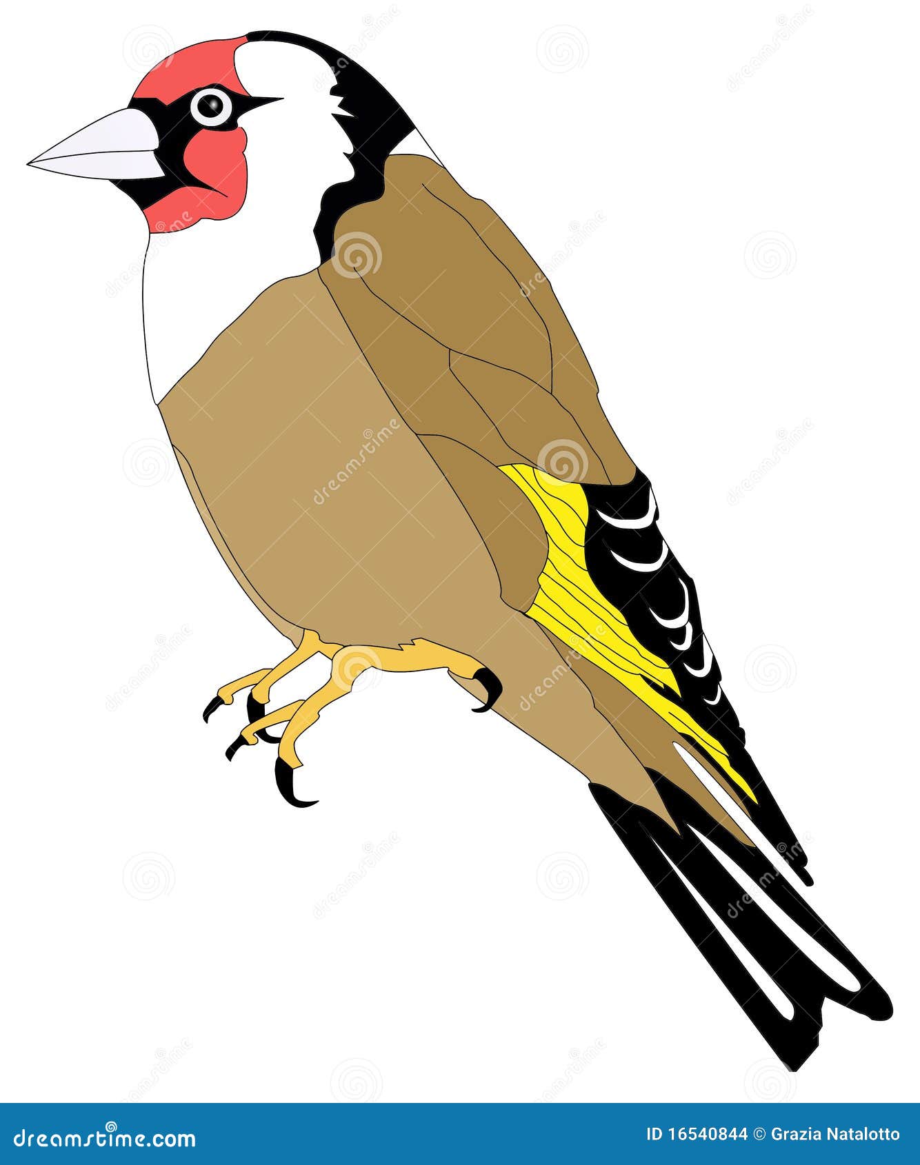 Distelvink stock illustratie. Illustration of nave, vogel - 16540844