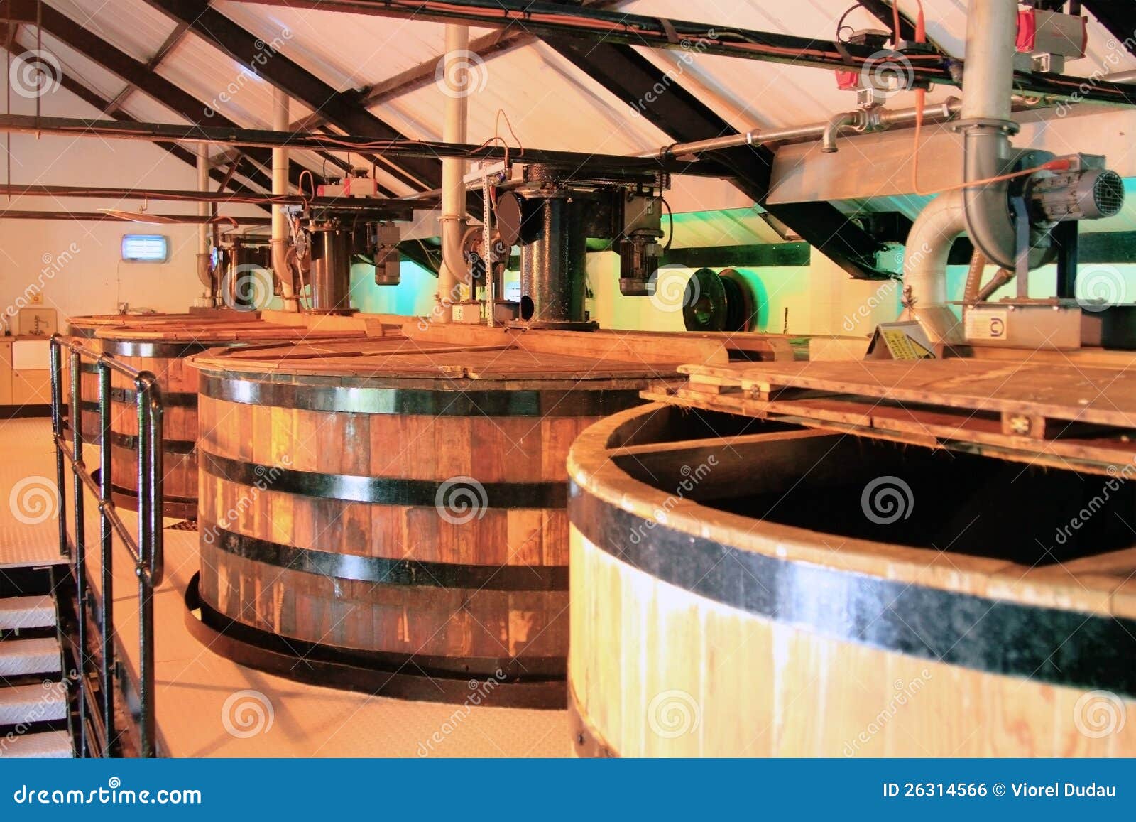 Distilleria del whisky fotografia stock. Immagine di lavata - 26314566