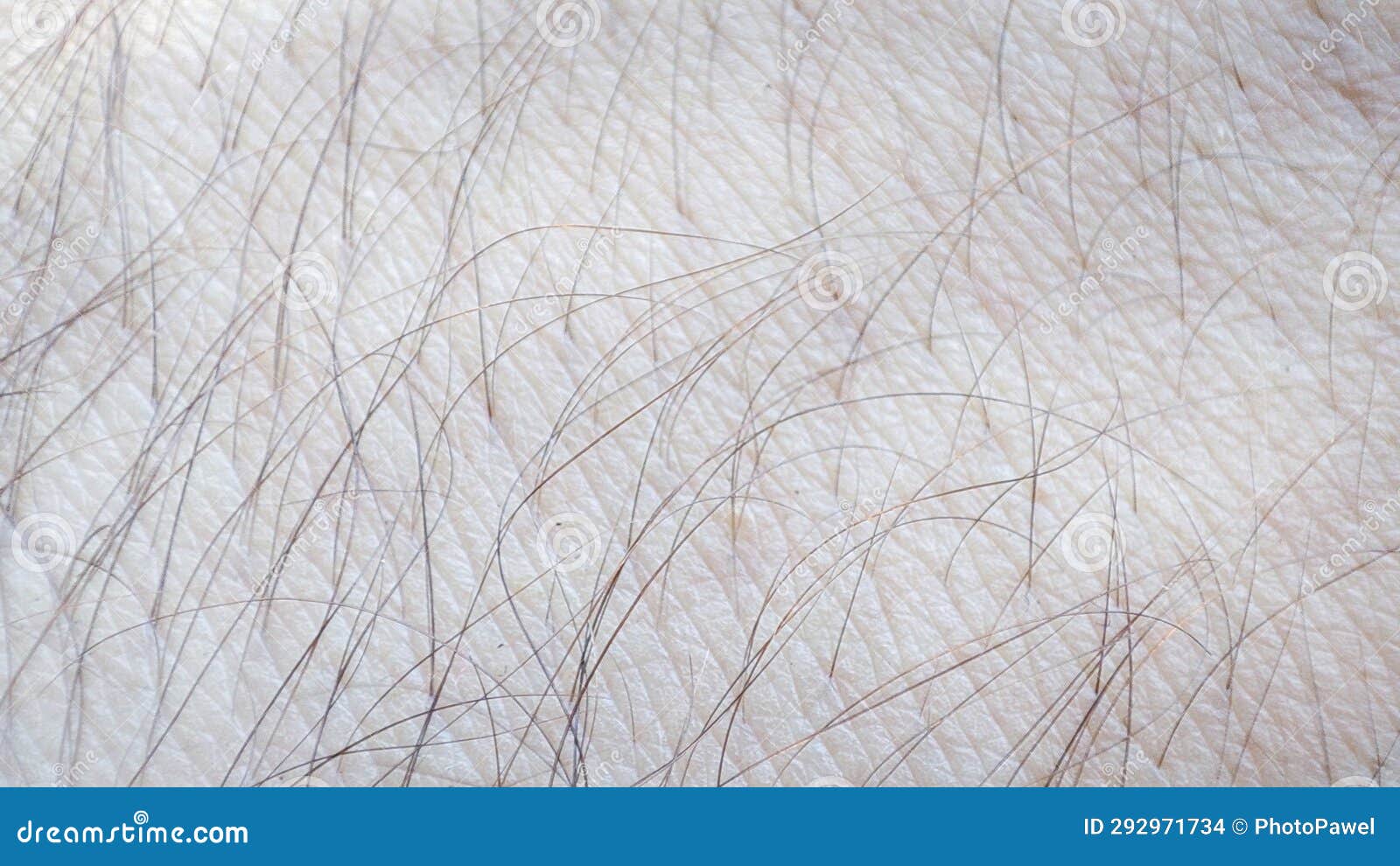 A Distinct Macro Perspective of Human Skin Texture in Closeup. Stock ...