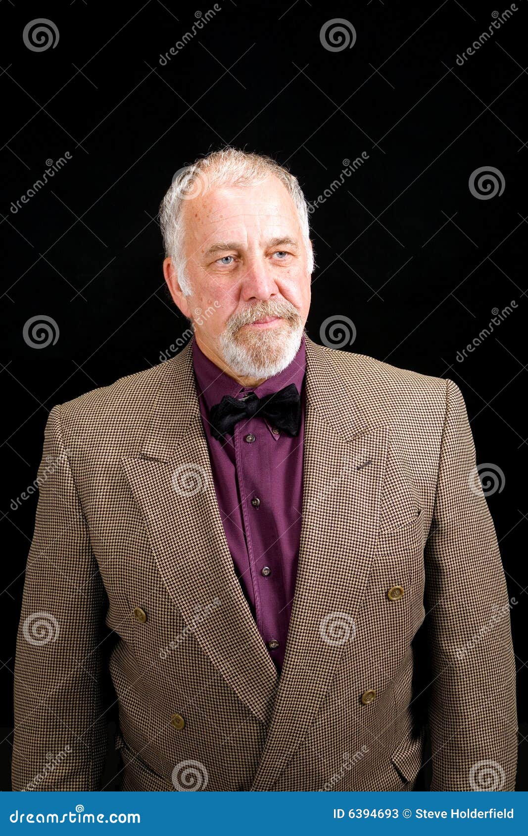Distinguised older man stock image. Image of senior, professor - 6394693