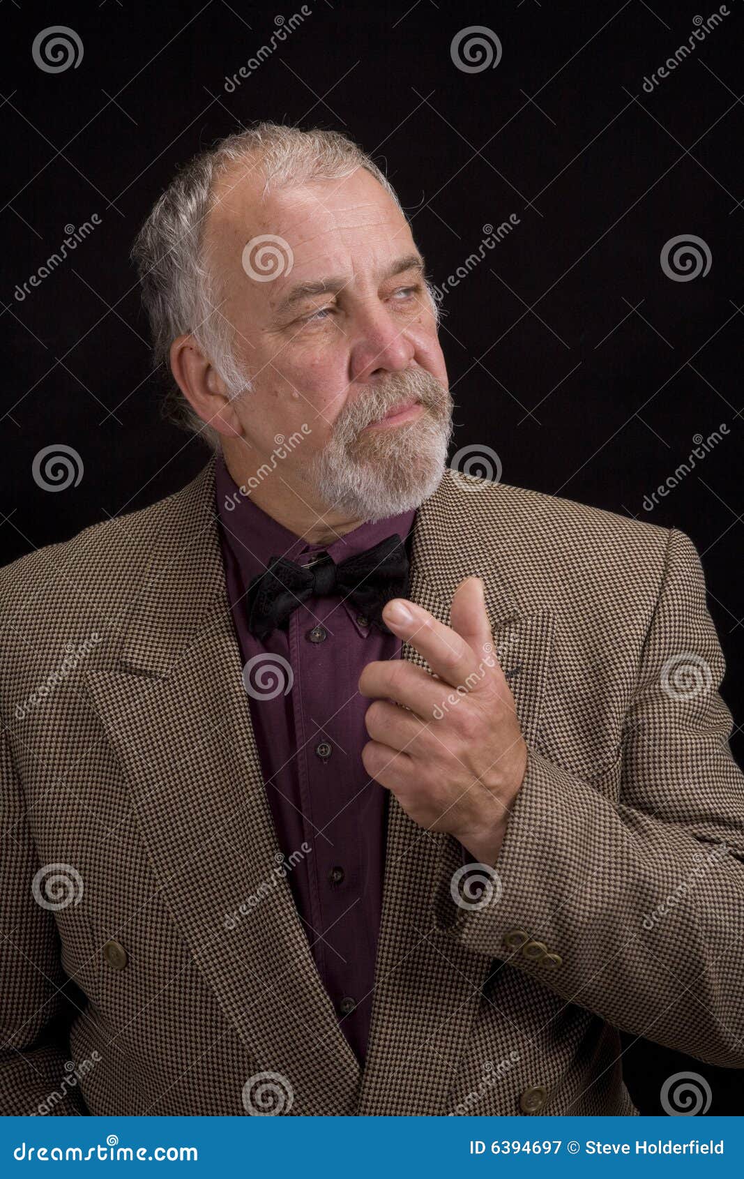 Distinguised older man stock image. Image of serious, goatee - 6394697