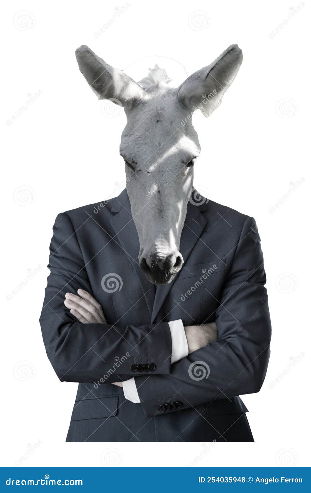 Distinguished Person with Donkey Face- Stock Photo - Image of outdoors ...