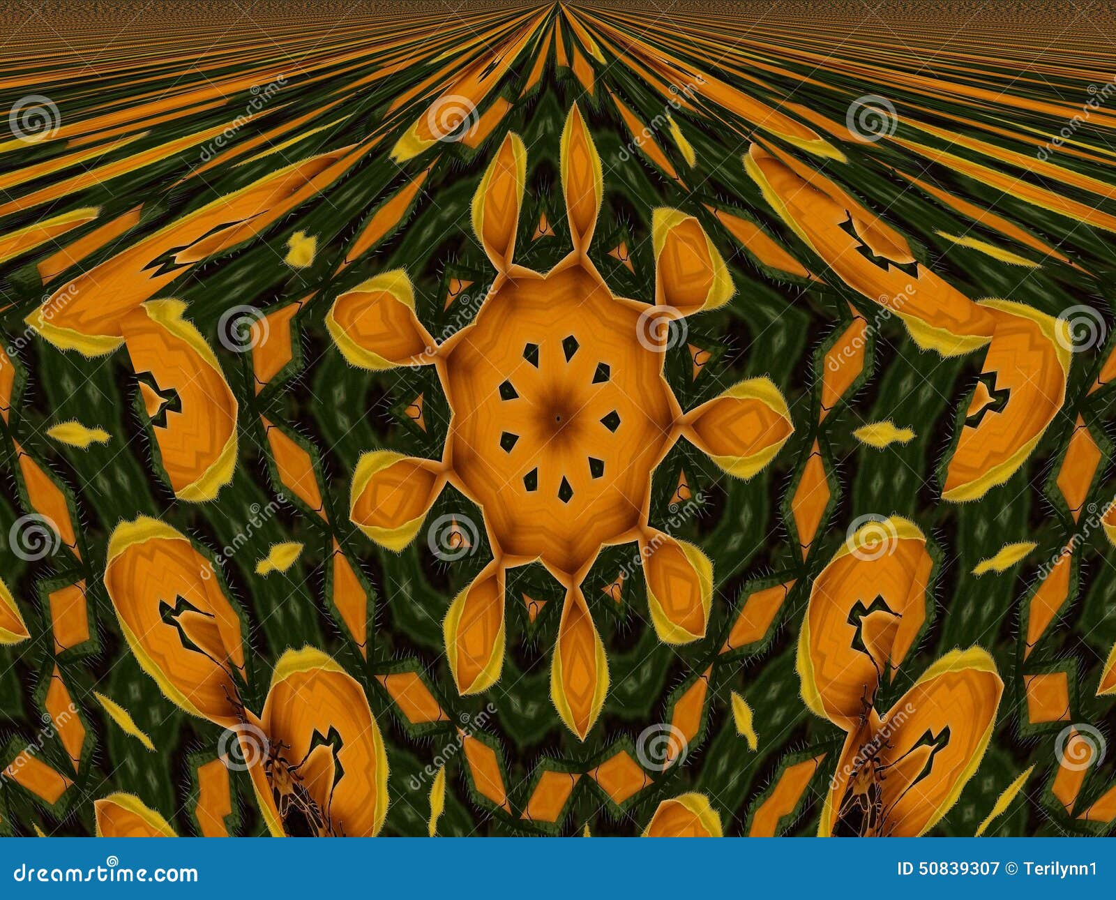 Distorted Flowers stock image. Image of interesting, nature - 50839307