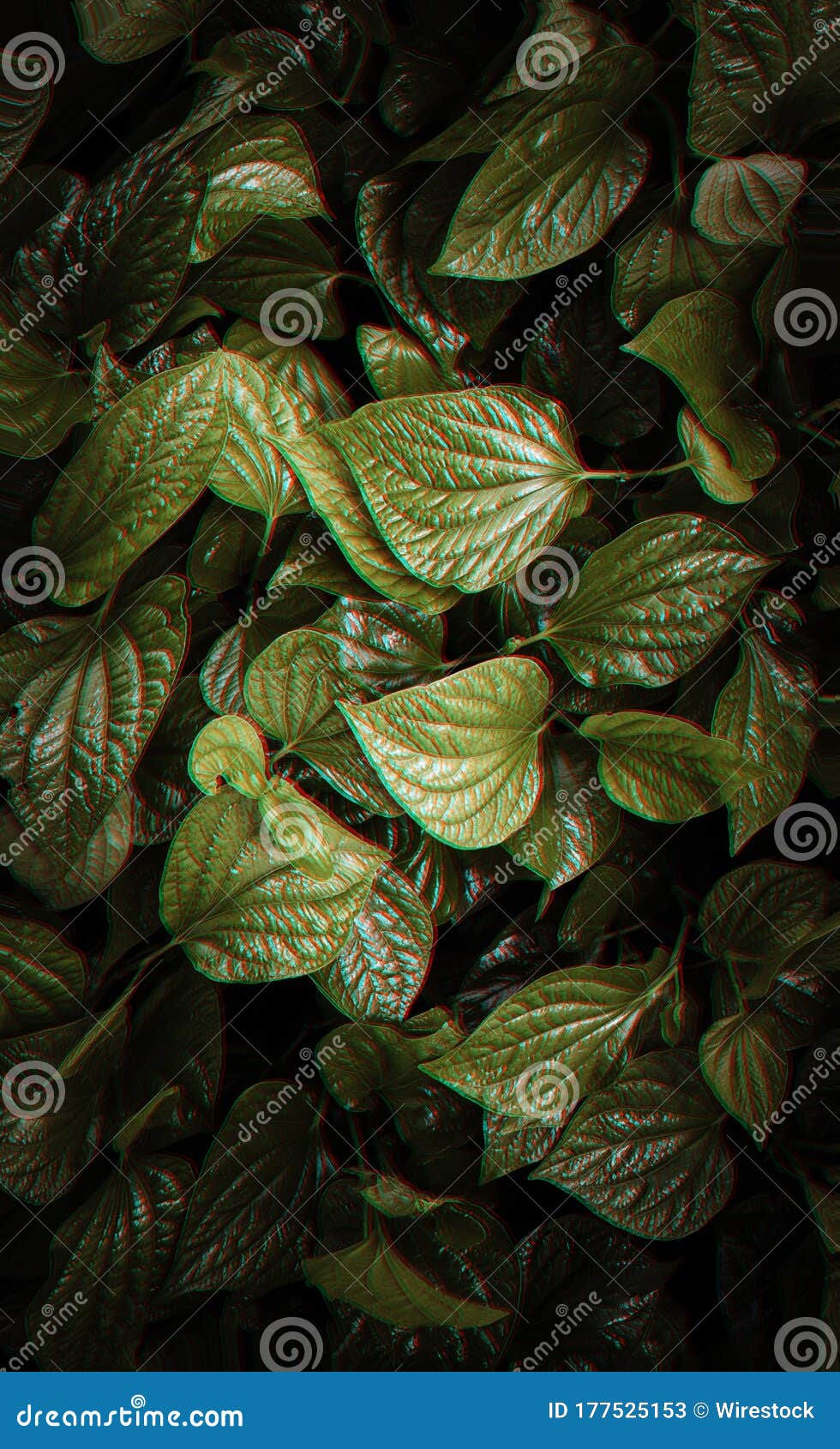 Distorted Green Plant Leaves Behind a Black Background Stock Image ...